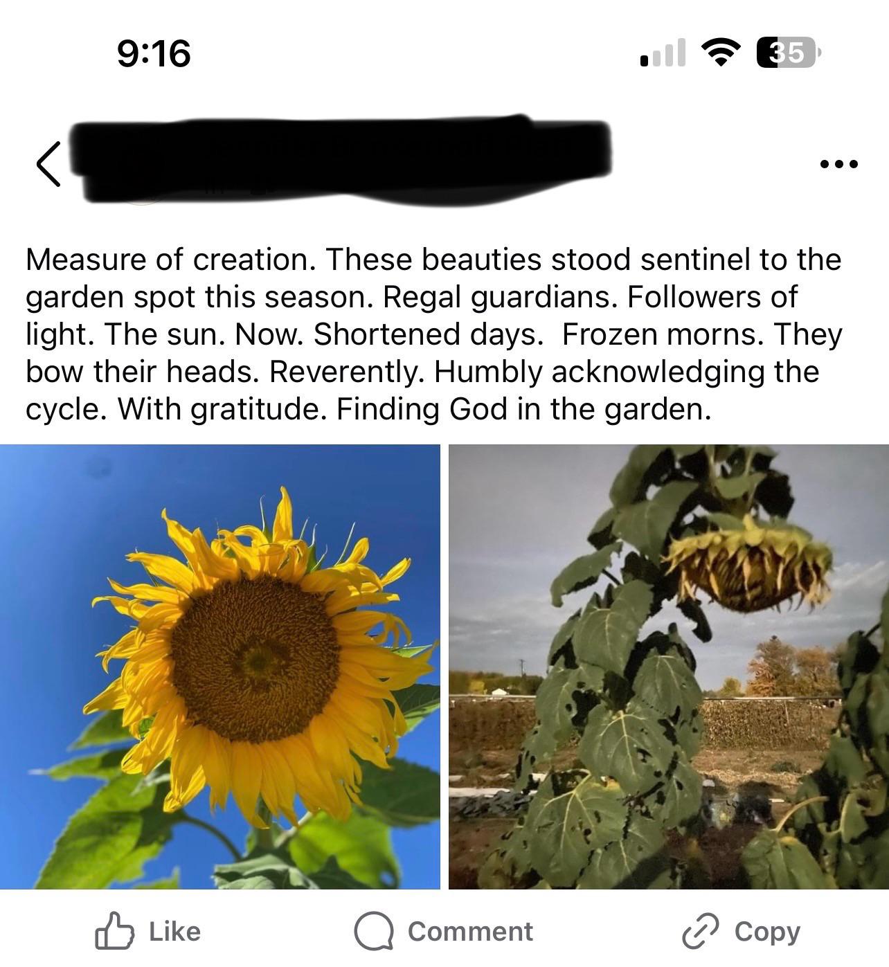 Appreciating “Miracles” For Their Own Sake | Scrolller