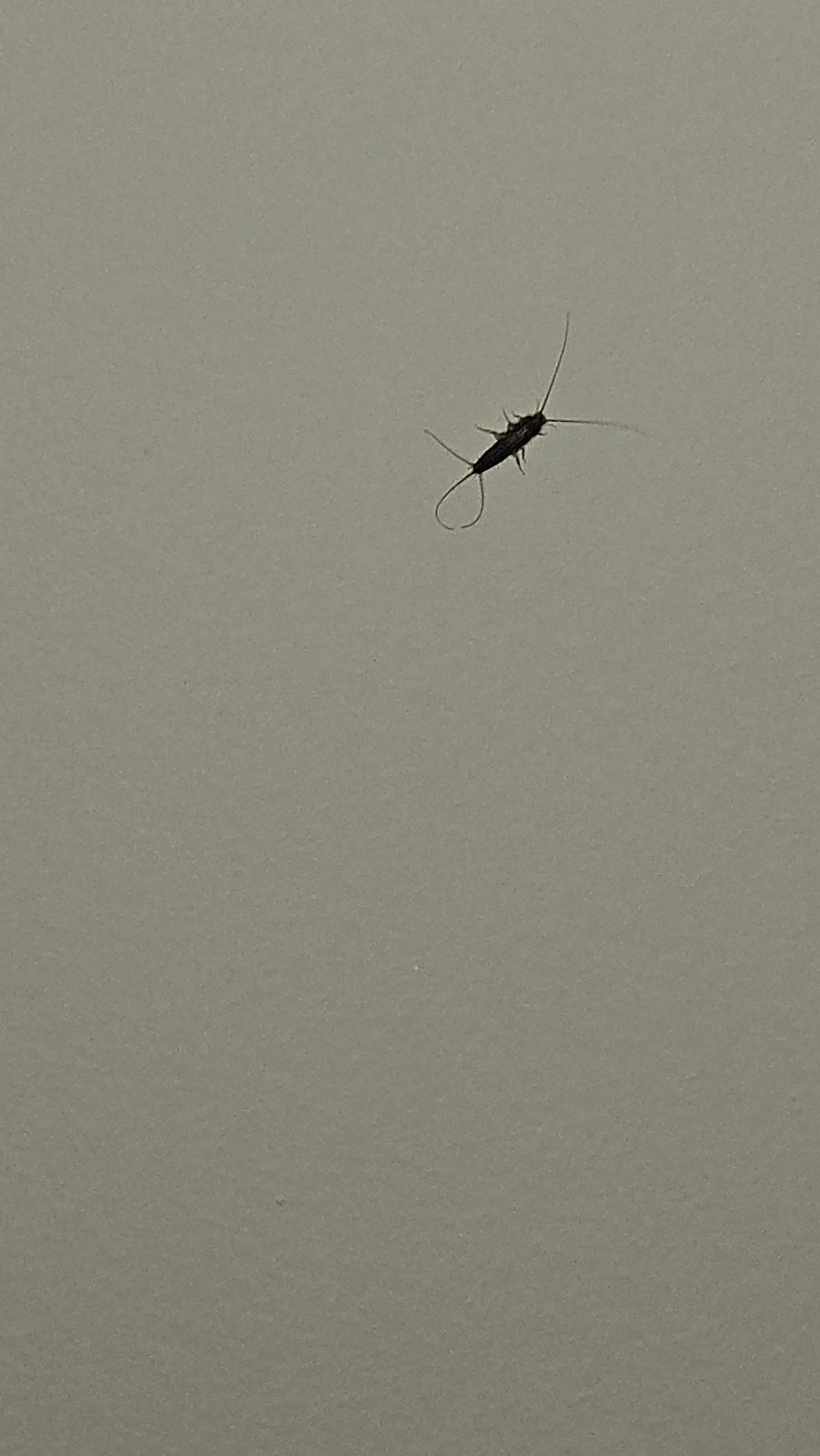 Need help identifying | Scrolller