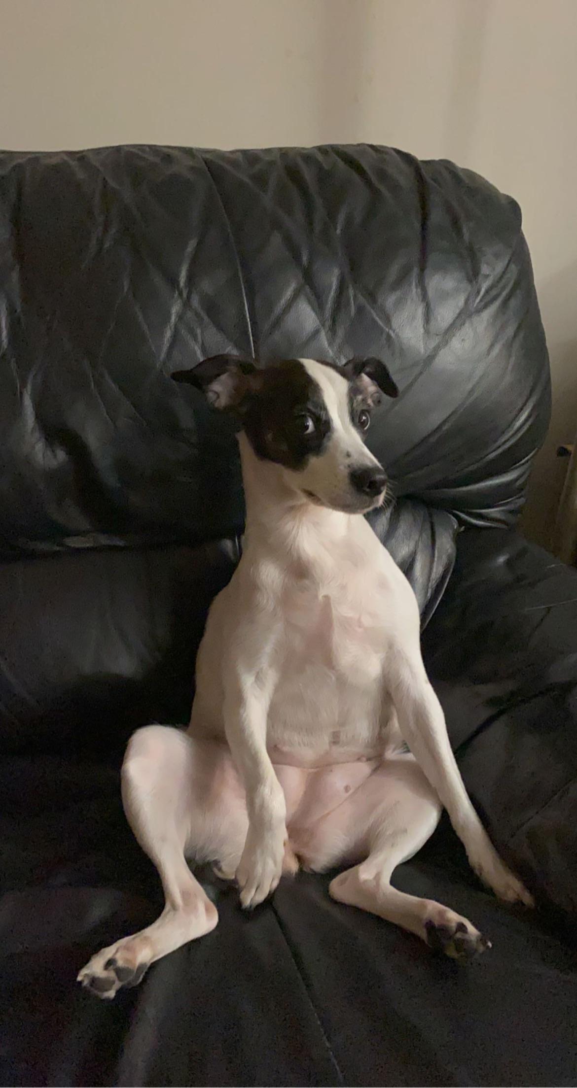 9th Holiday w Bella | Scrolller