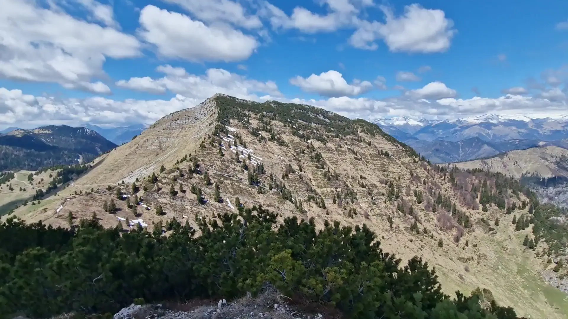 Did we almost meet a bear? | Scrolller