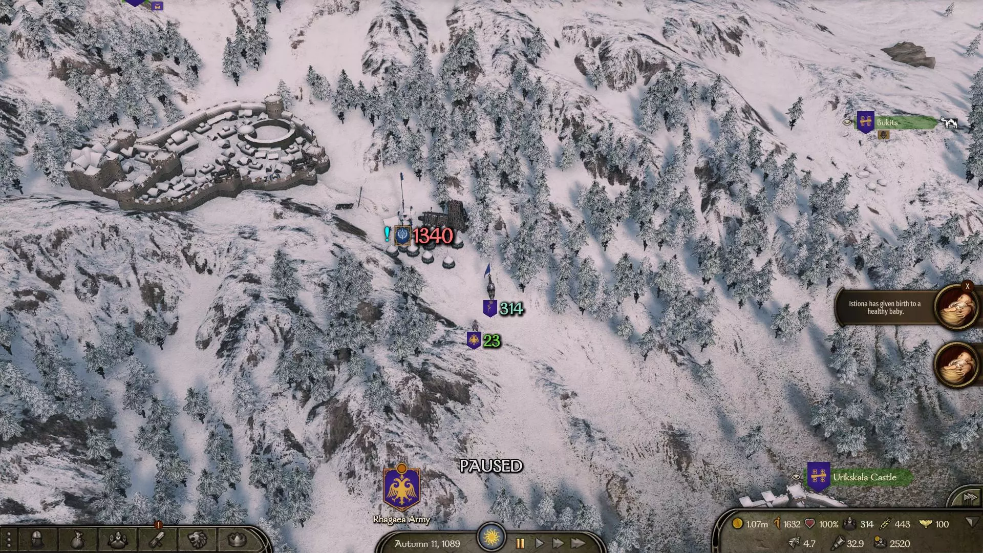 Didn't realize twins were possible! The heir and a spare - Clan future secured | Scrolller