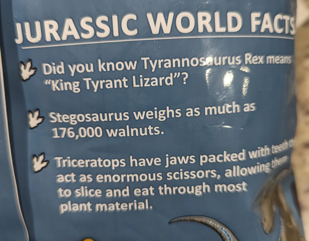 Dinosaur facts | Scrolller