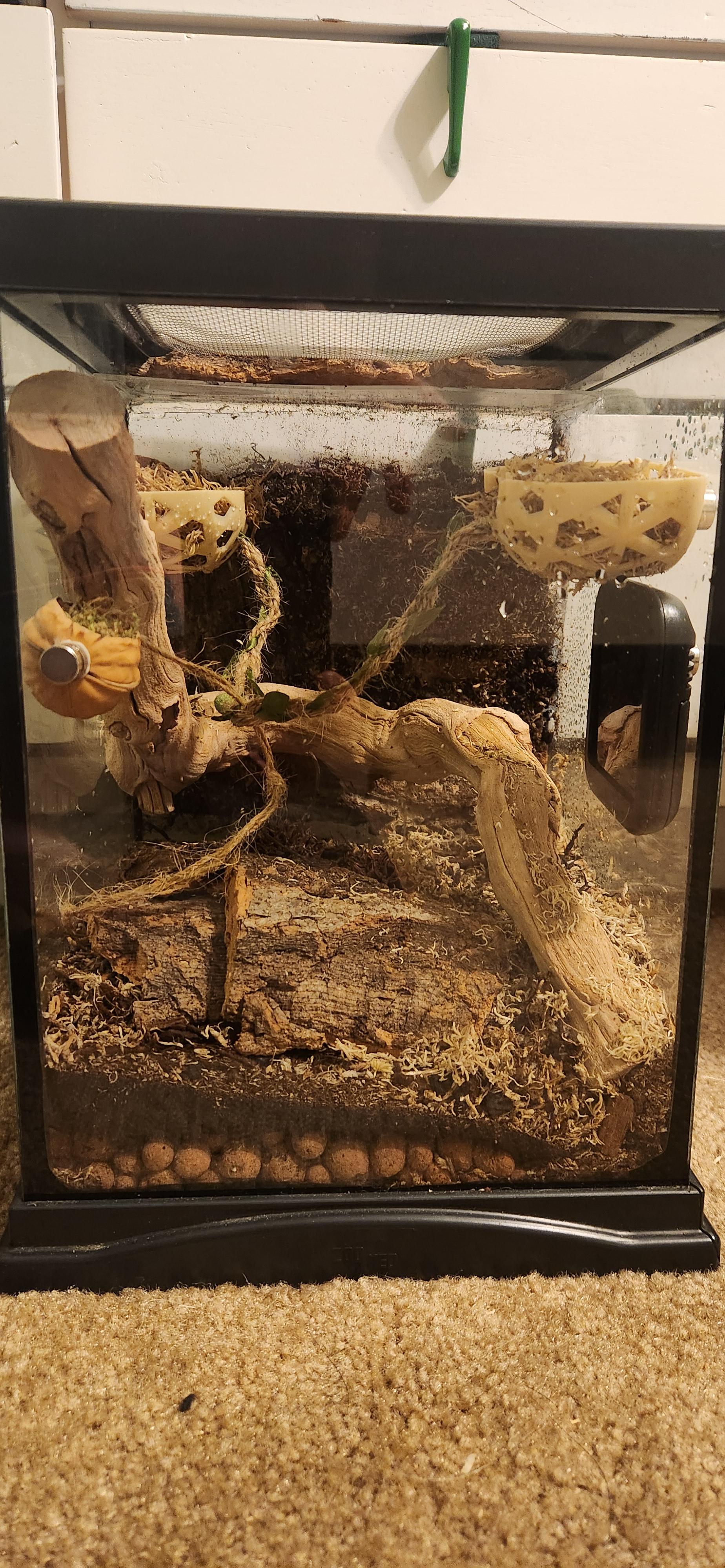 Okay enclosure? | Scrolller