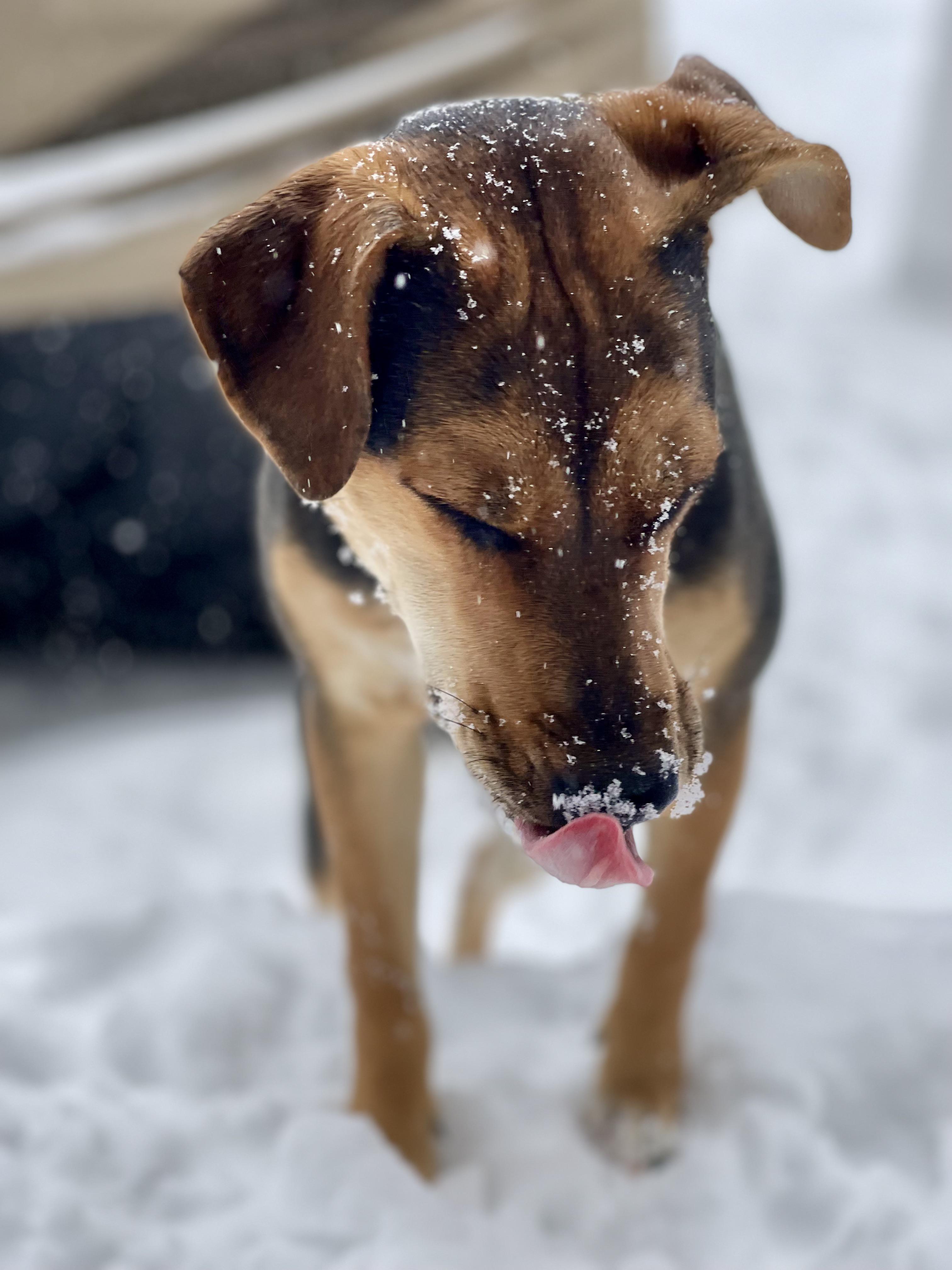 Snow is confusing ok | Scrolller