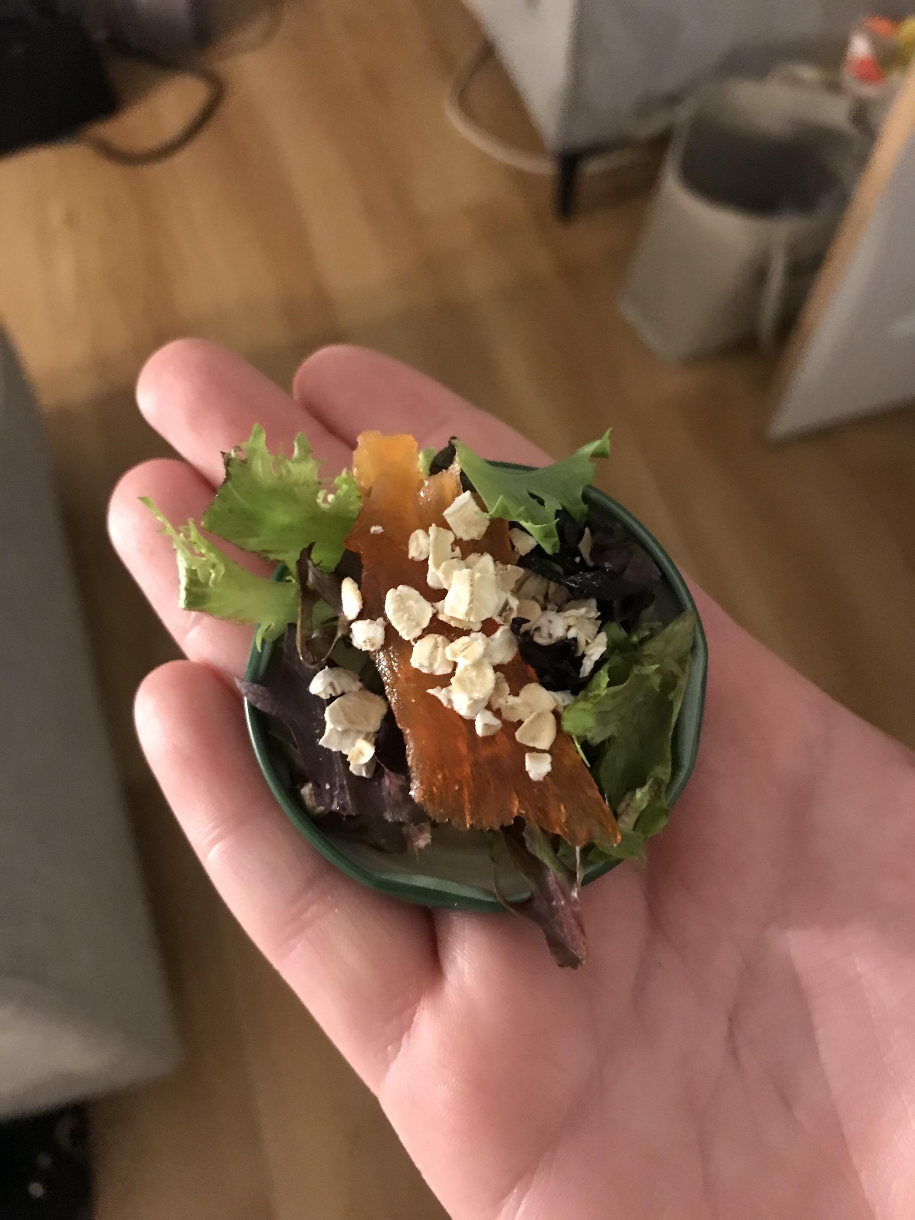 Presenting Ellie with a tiny trout salad | Scrolller