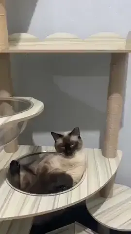 Do not touch me. | Scrolller