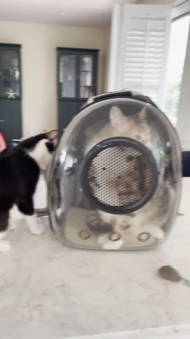 Do. Not. Touch. ME!! | Scrolller