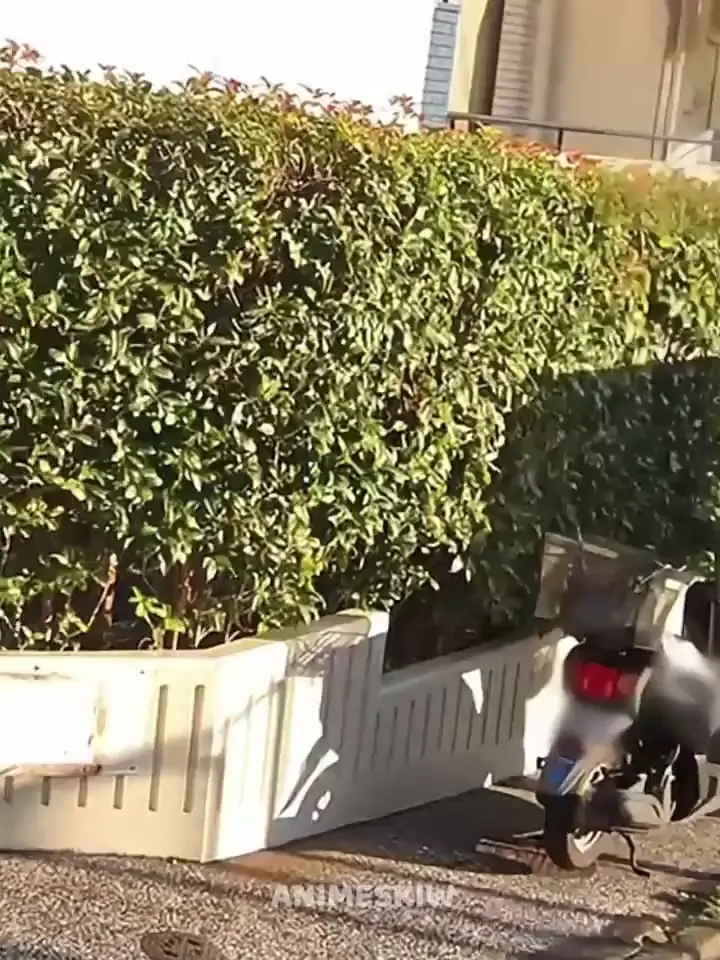 Do you know them all? | Scrolller