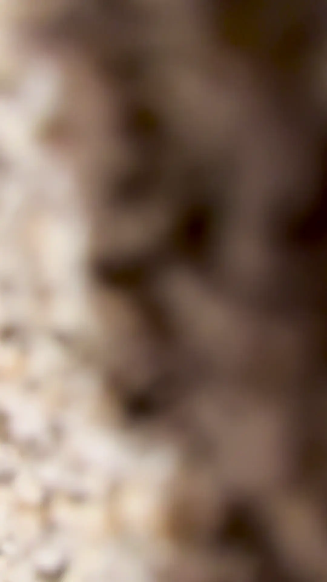 Does anyone know what this noise means | Scrolller