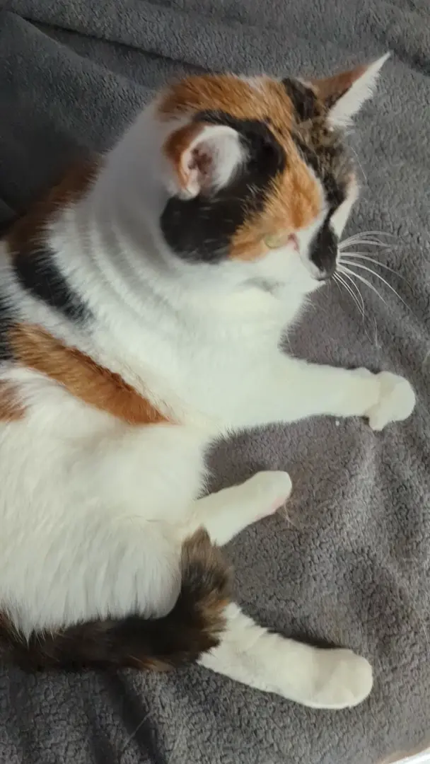 Does brushing count? | Scrolller