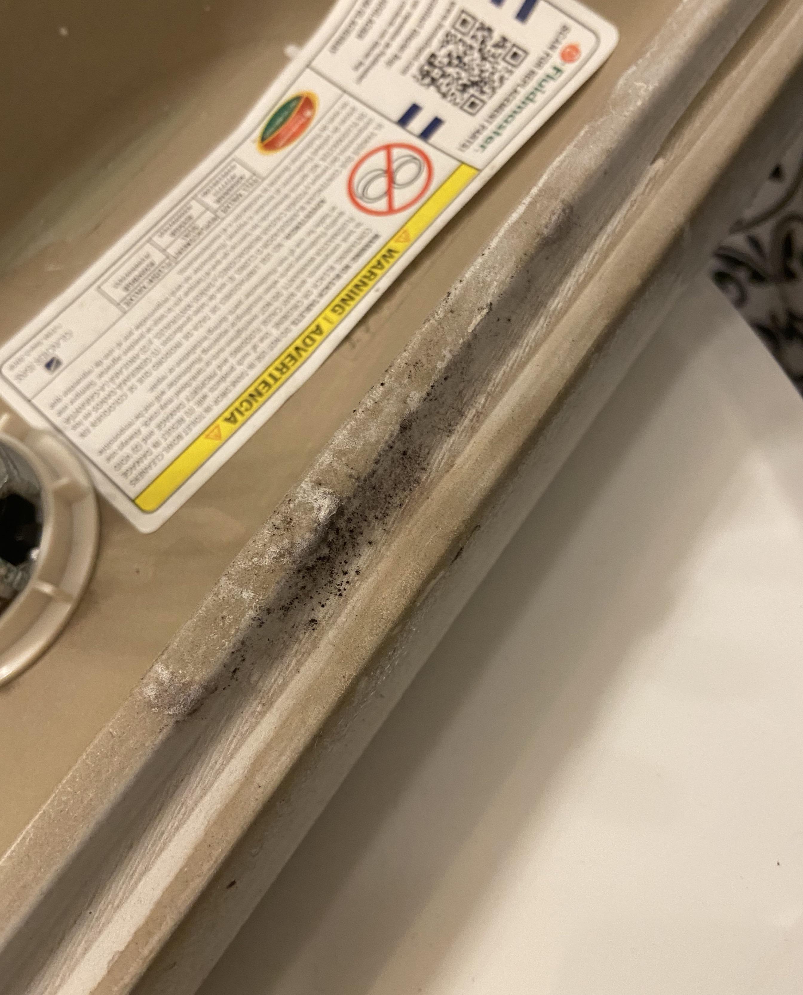 Does this mean I have mold? | Scrolller