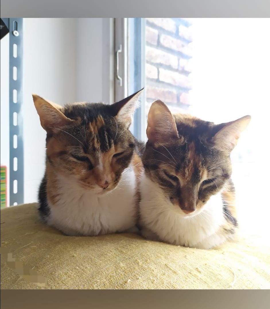 Double loaf | Scrolller