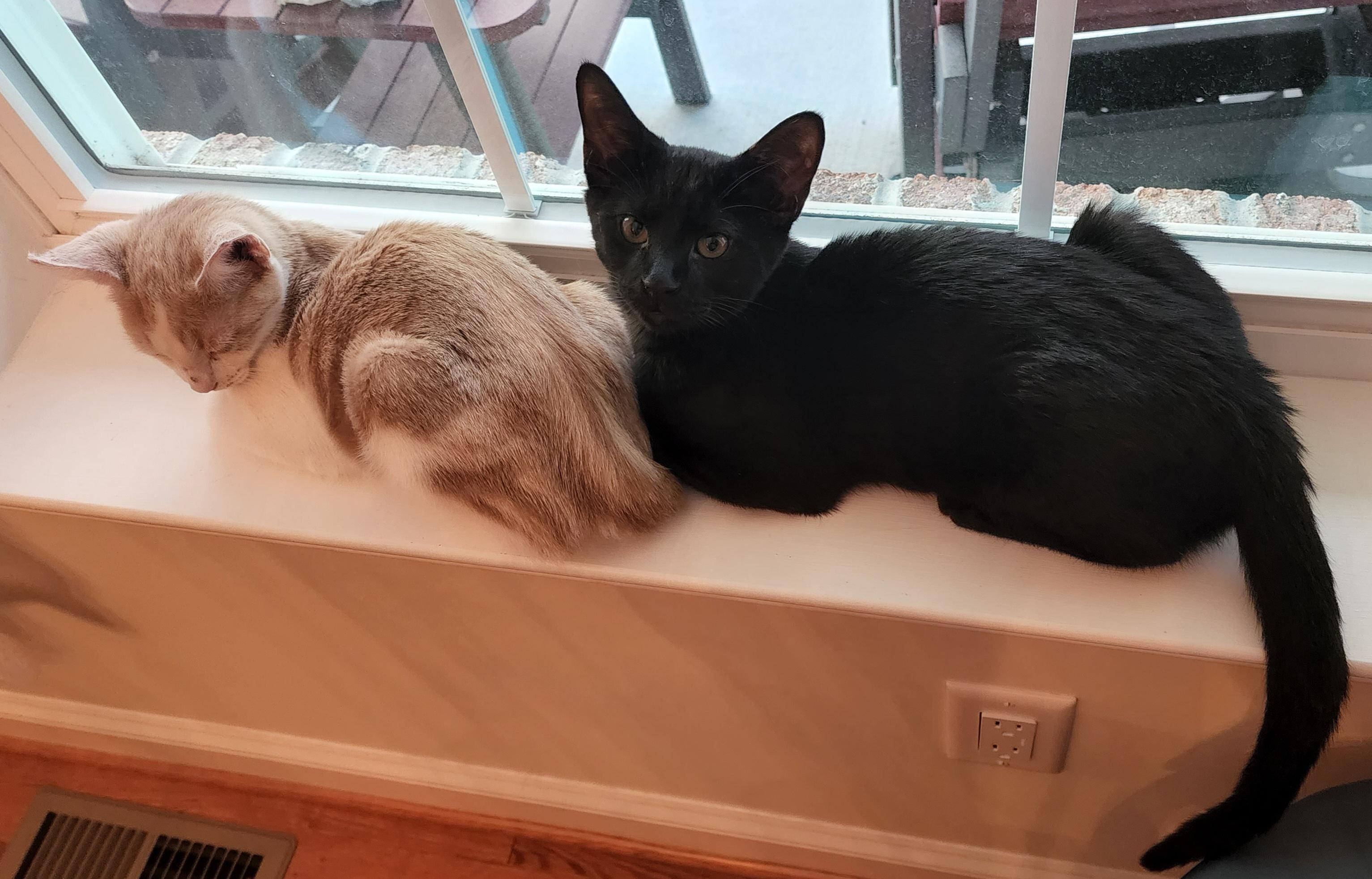 Double Loafing | Scrolller