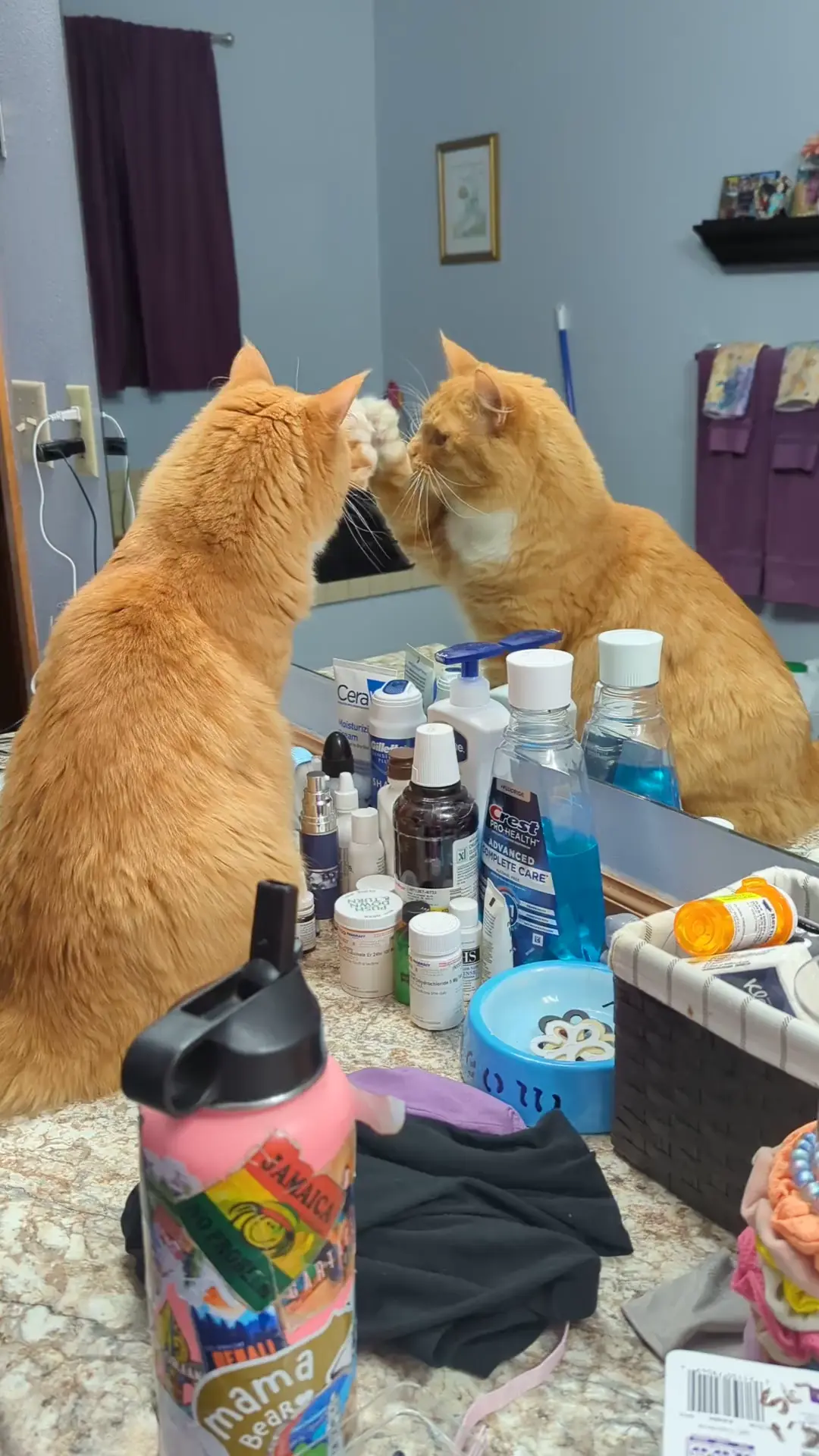 Double the taps | Scrolller