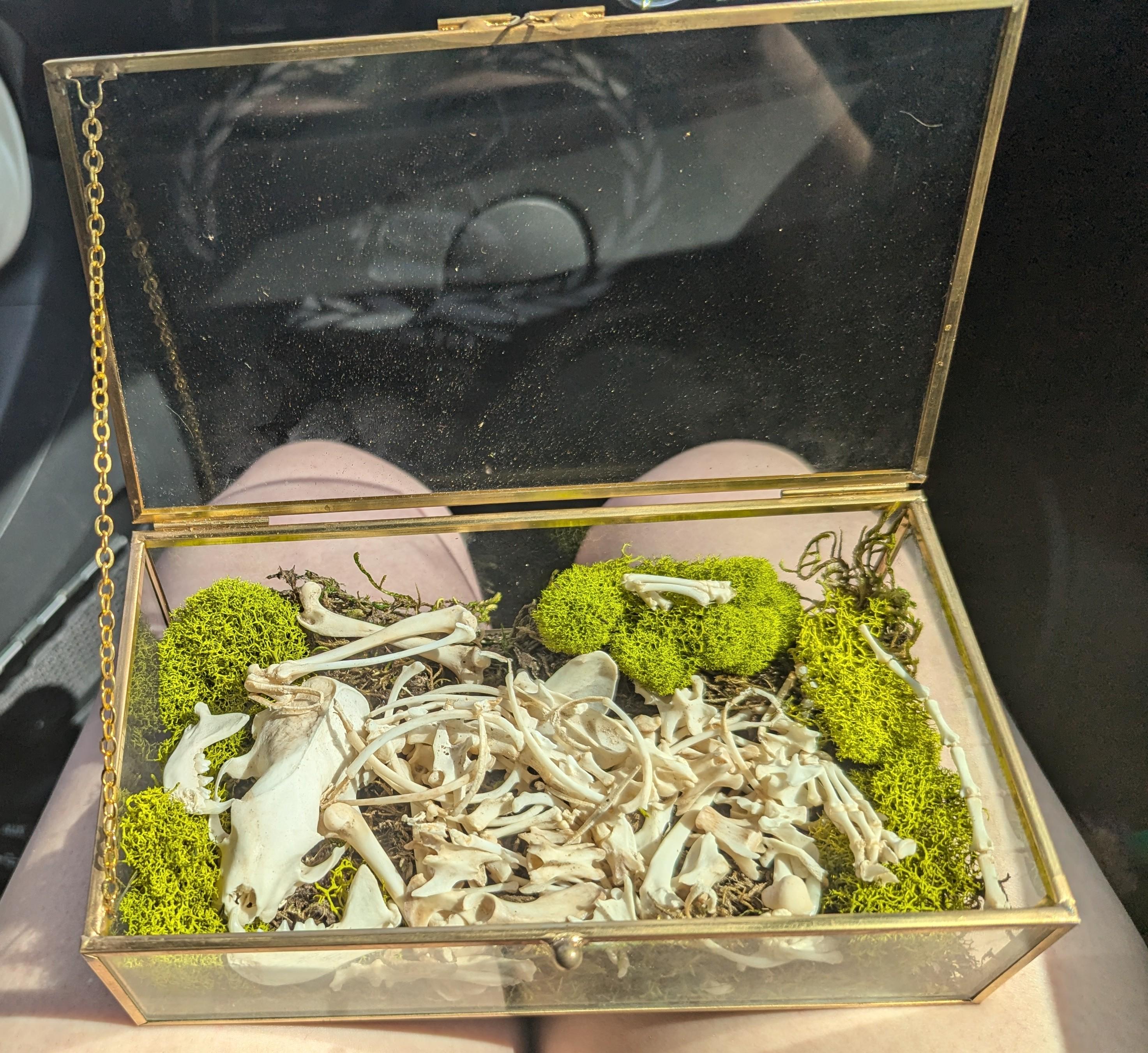 Morpheus and his bones | Scrolller