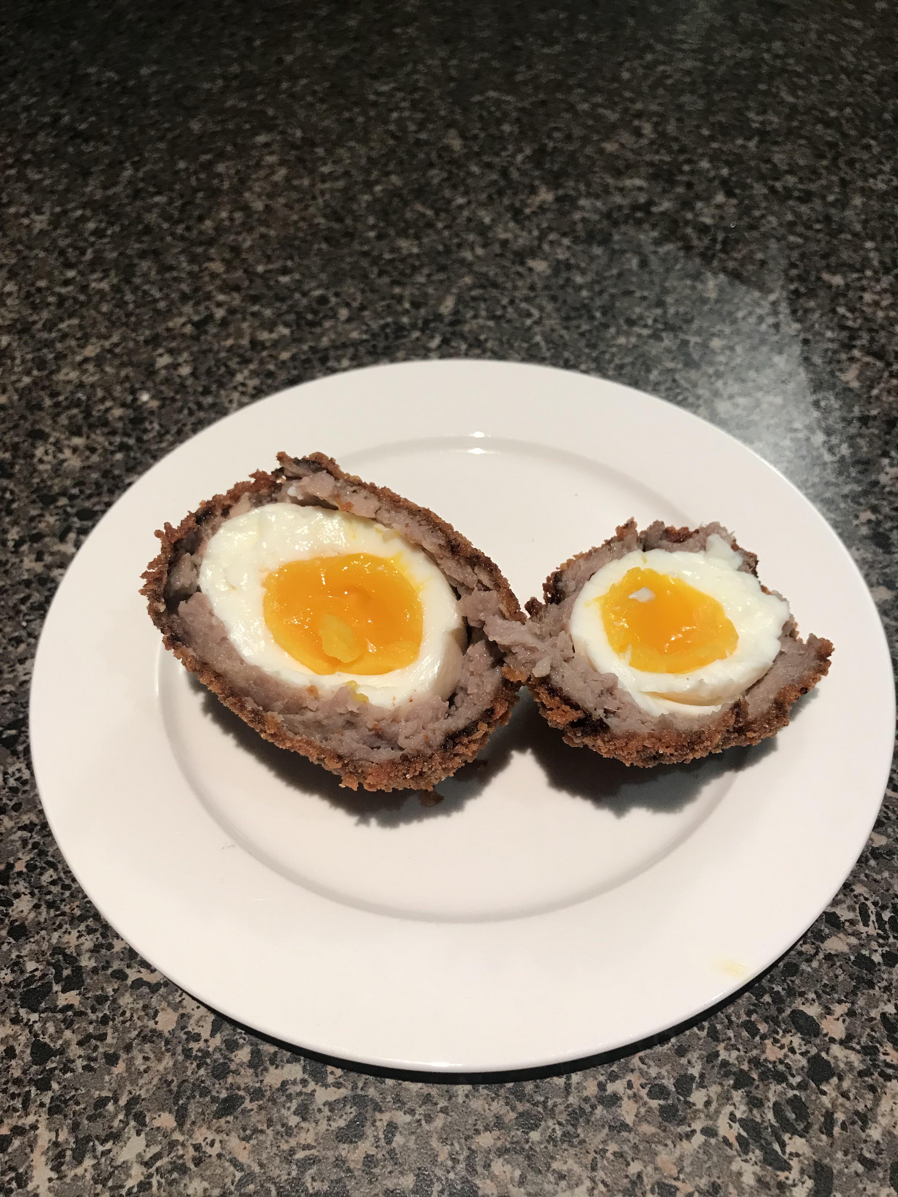 [homemade] Sous vide Scotch Eggs | Scrolller