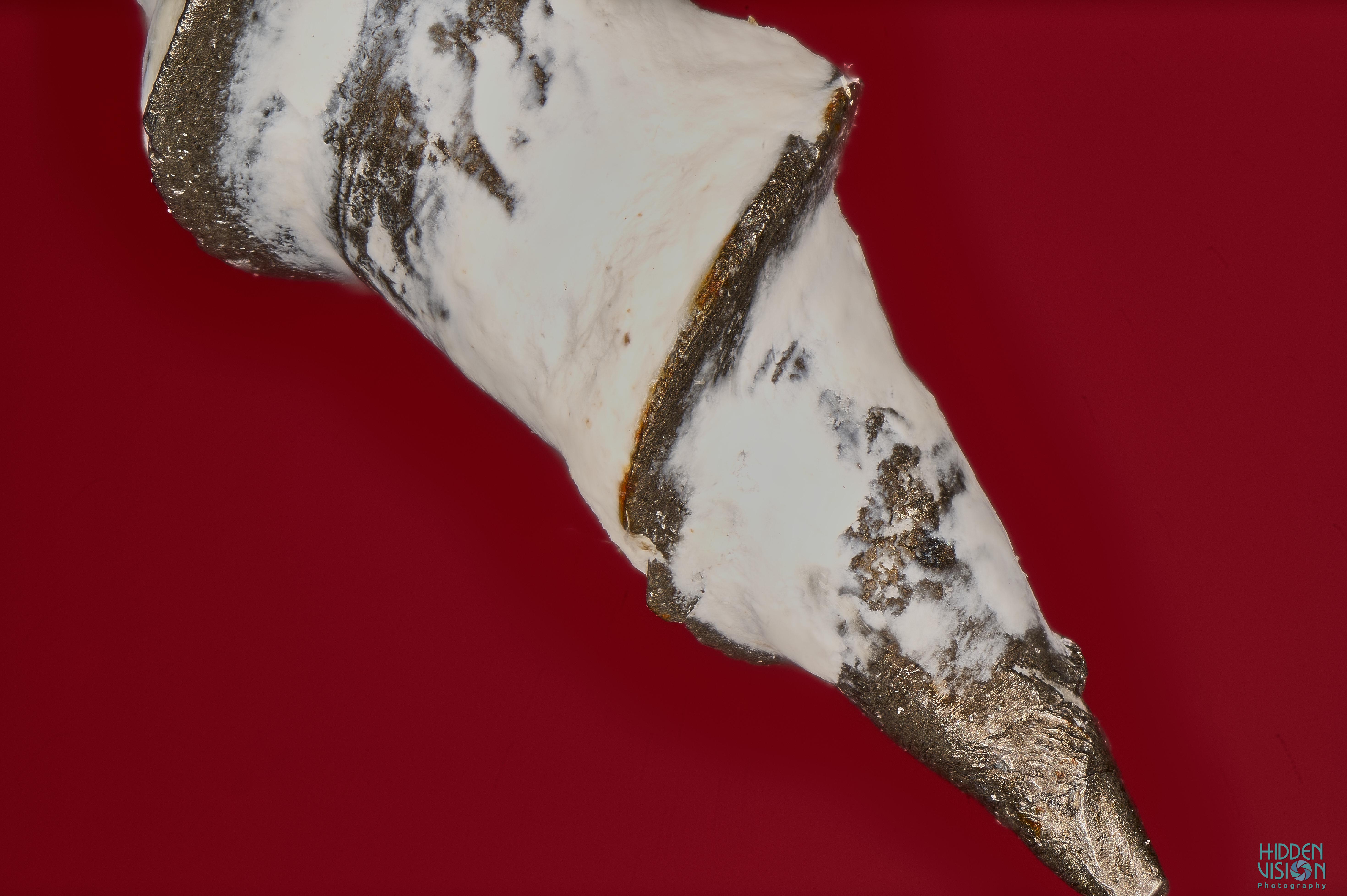 Drywall screw | Scrolller