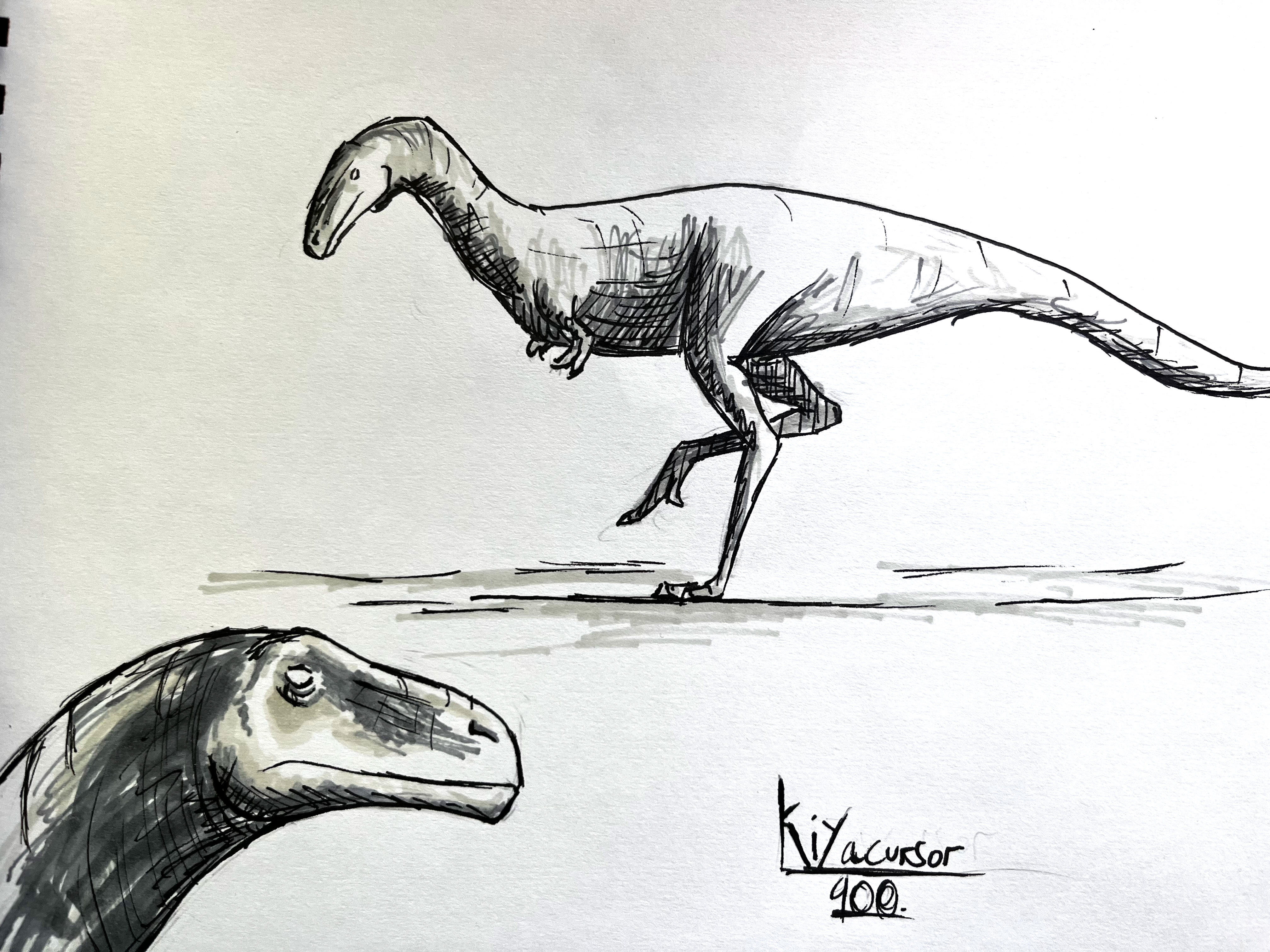 Discover more like Paleoart: Extinct Animal Every Day: Countdown to 1000: 900 & 901 and Related ...