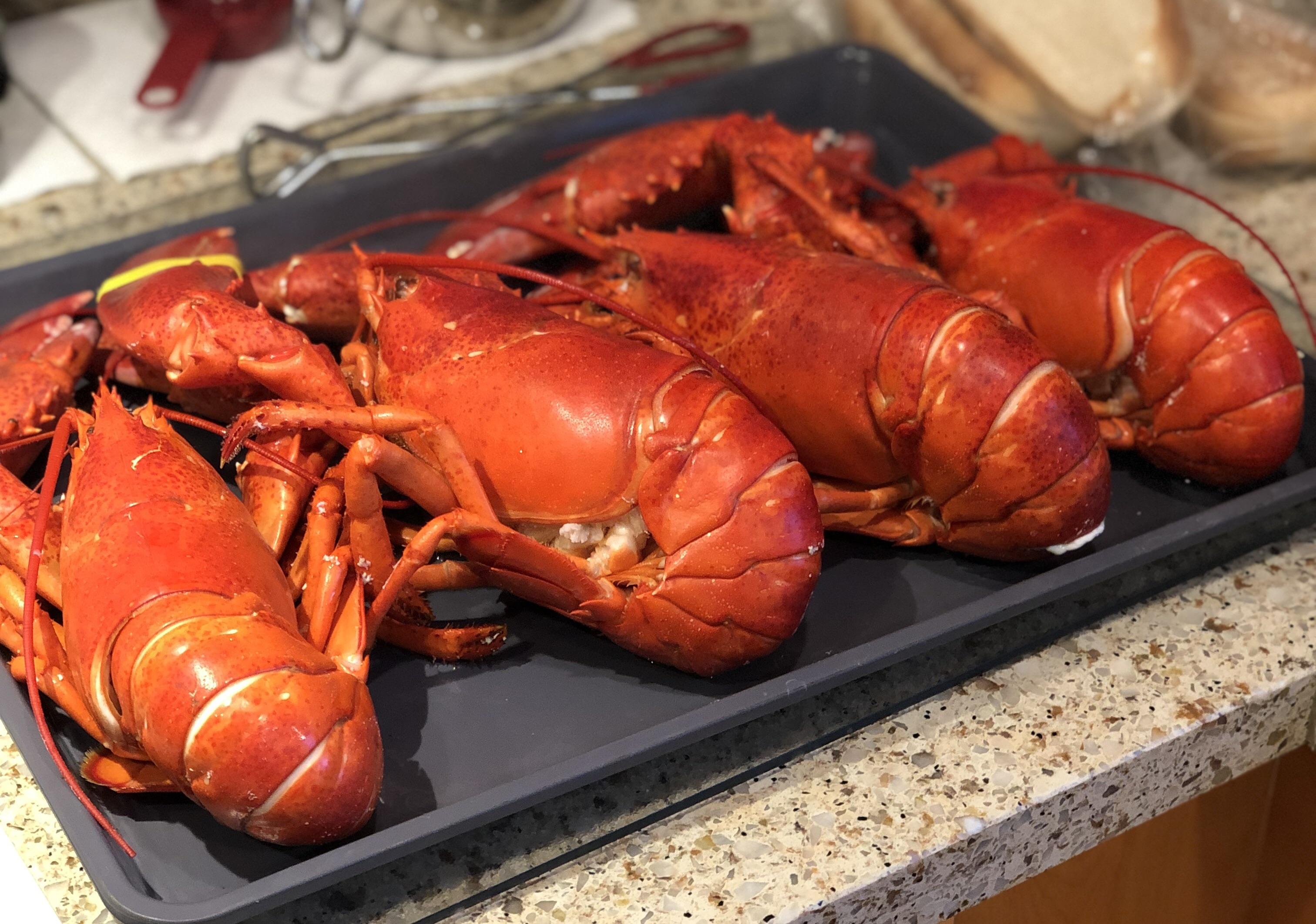 [homemade] Lobster rolls | Scrolller