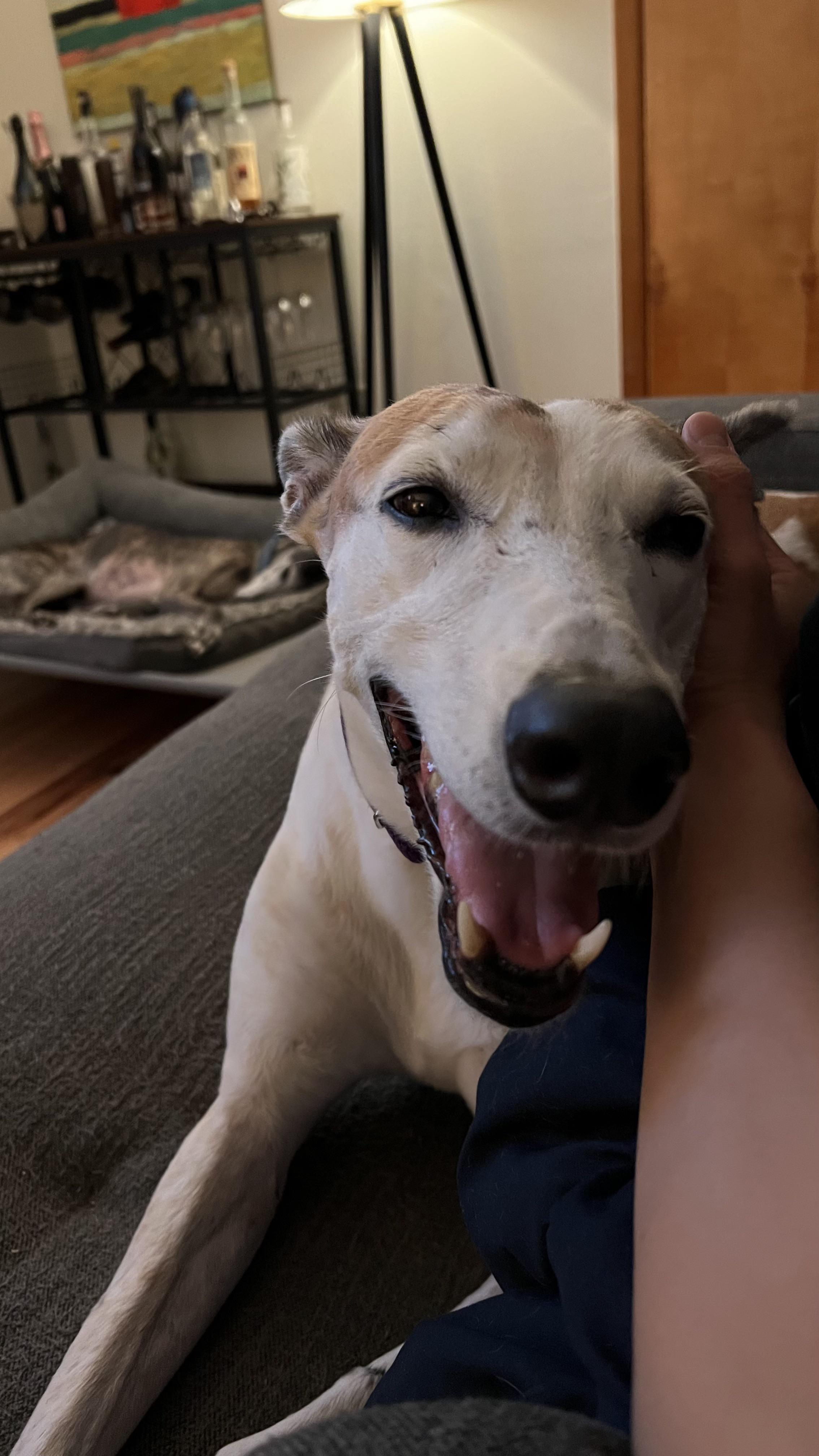 Any cooling tips? | Scrolller