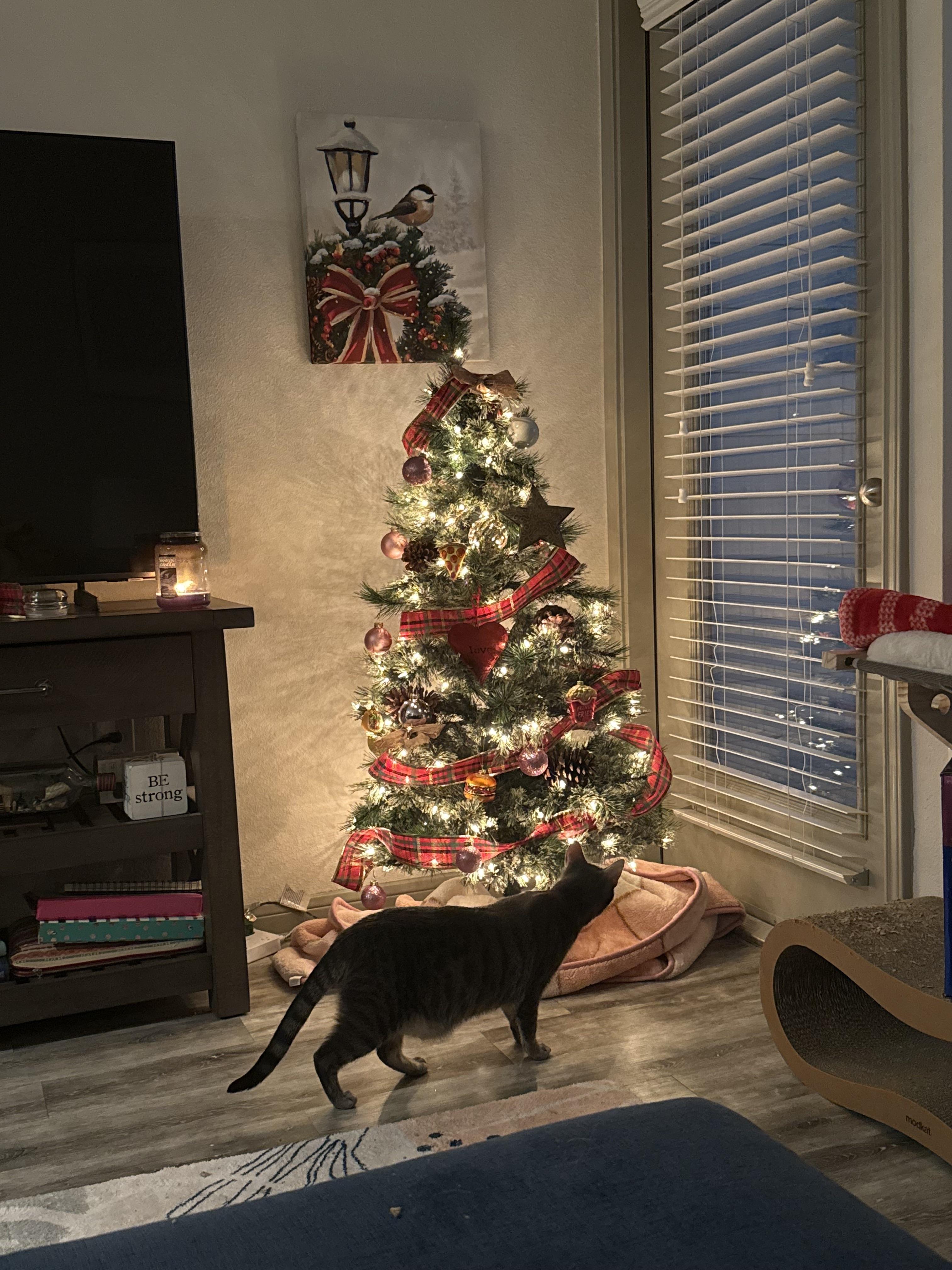 Peeps first Xmas | Scrolller