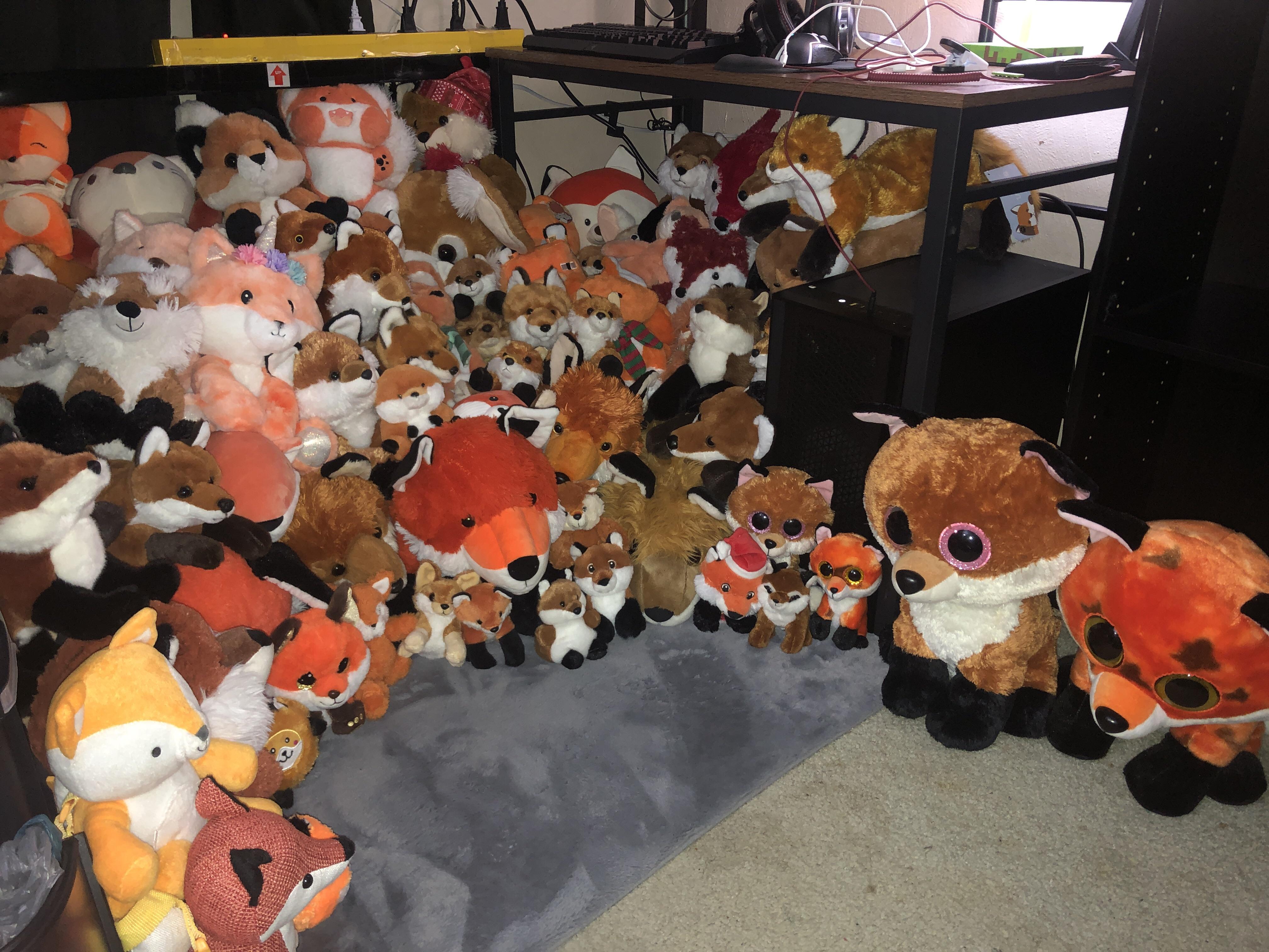 My fox plushie collection!!!! | Scrolller