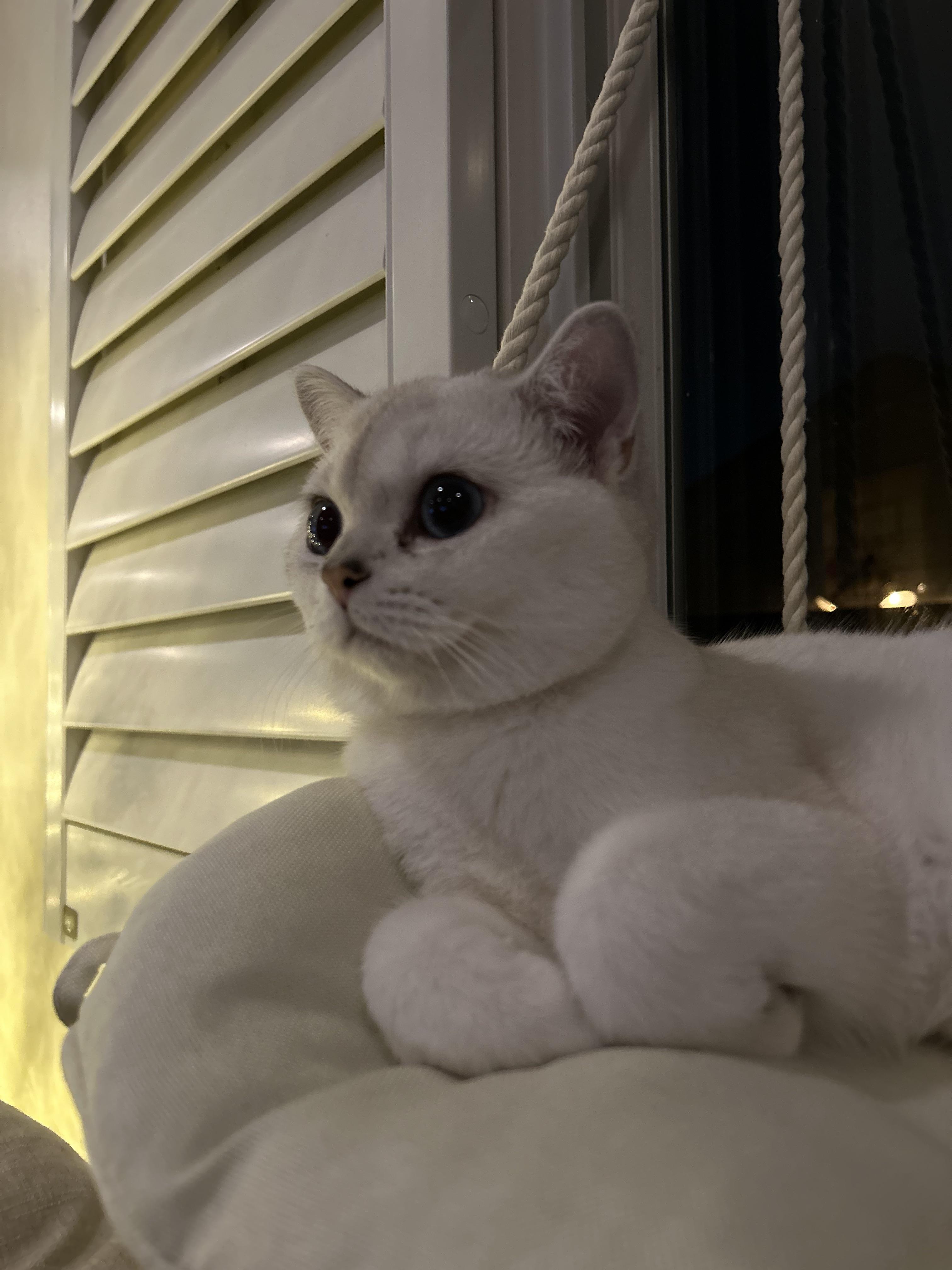 My short, plus-size supermodel🤍💋 | Scrolller