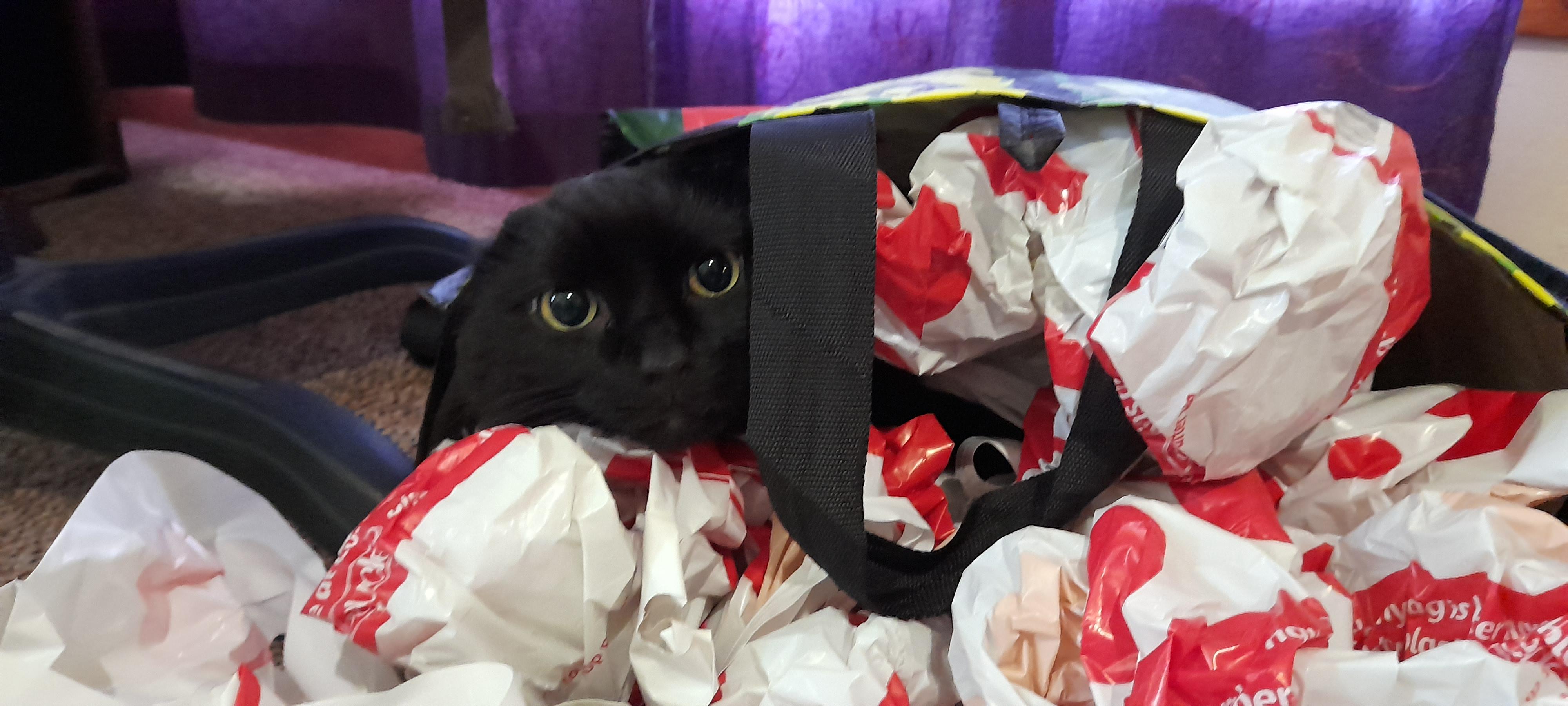 Vlad the void | Scrolller