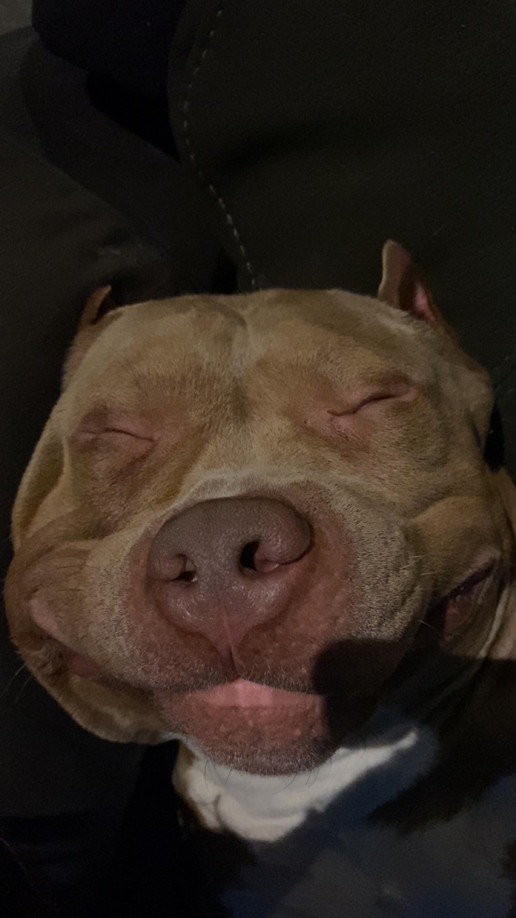 Chunky boy | Scrolller