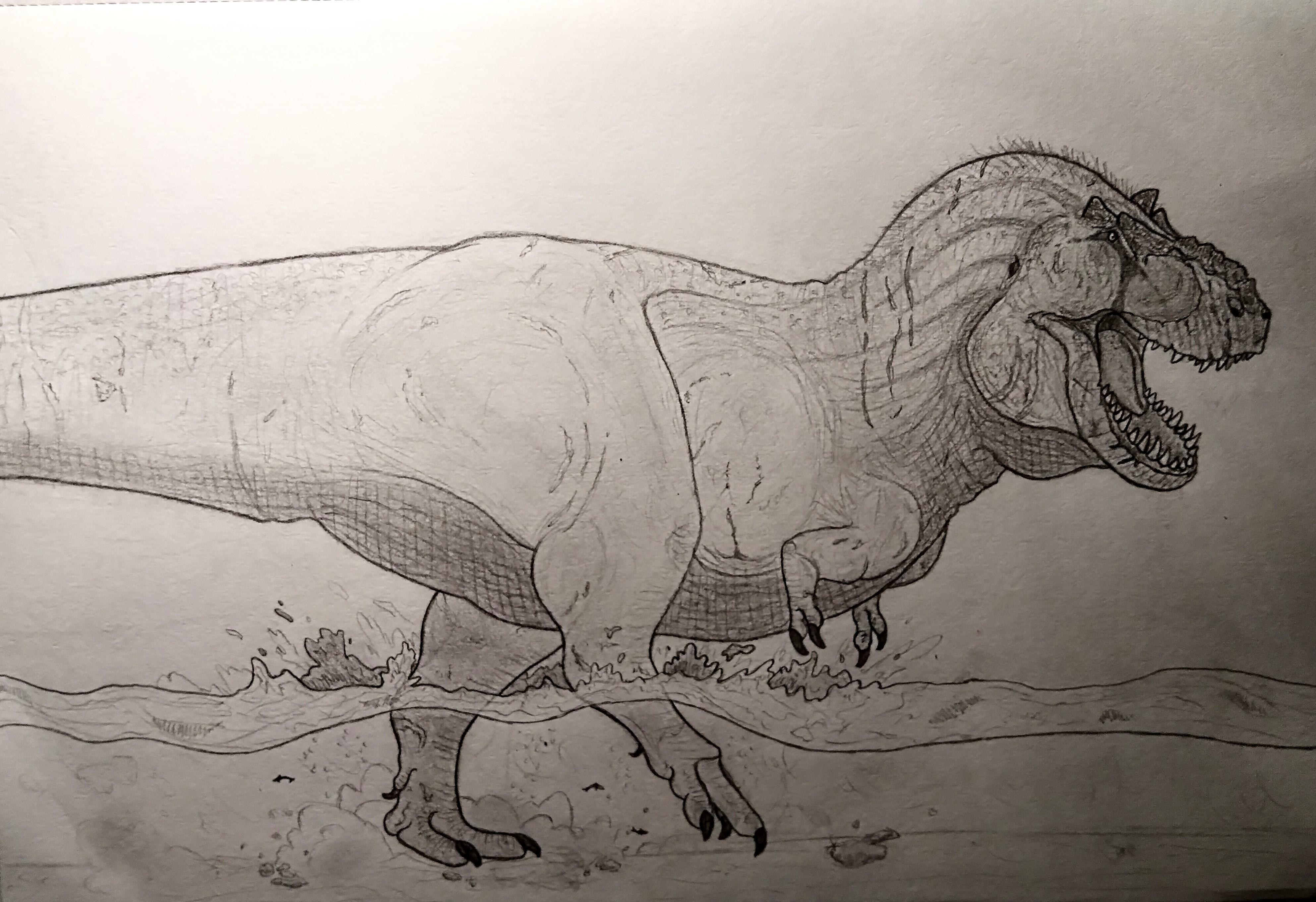 Rexy is going for a little paddle | Scrolller