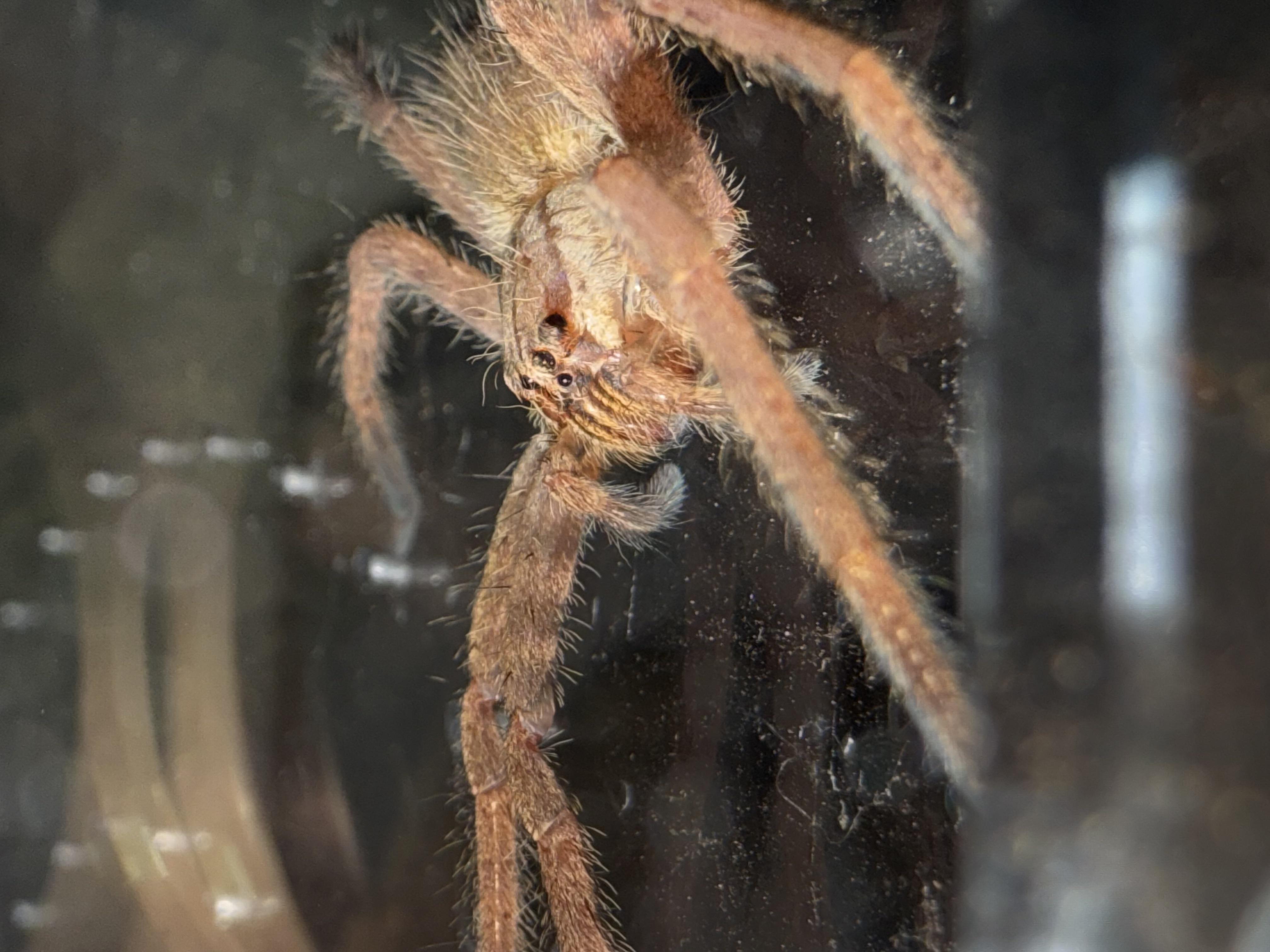 Macro Pictures | Scrolller