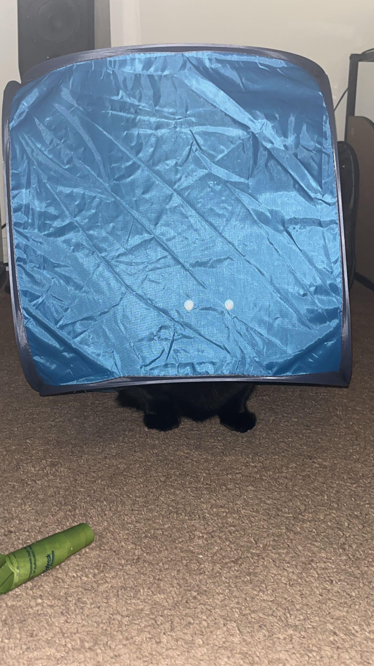 She tried her best hiding..? | Scrolller