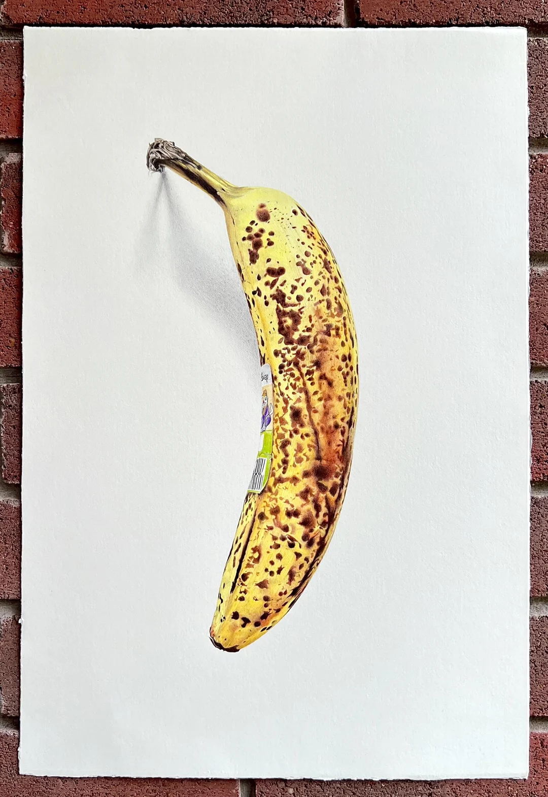 Perfection is a Preference, fuckavo (me), Color pencil on paper, 2023 | Scrolller