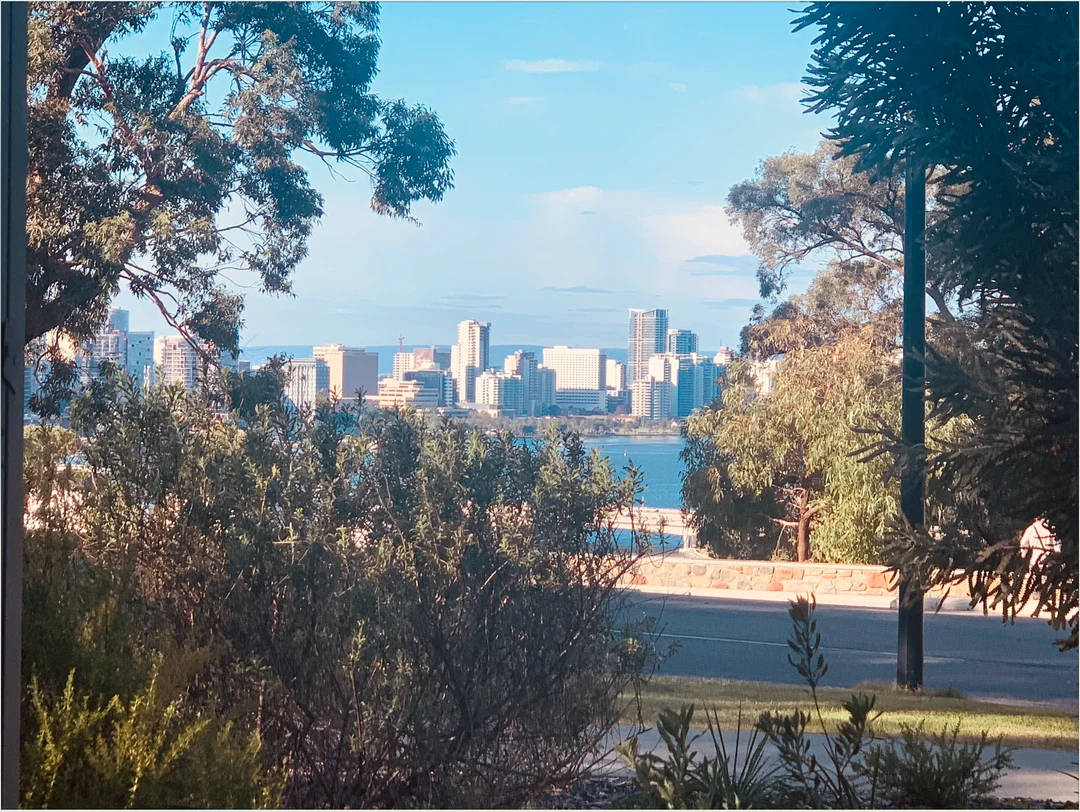 another angle of Perth from kingspark (Western Australia) | Scrolller
