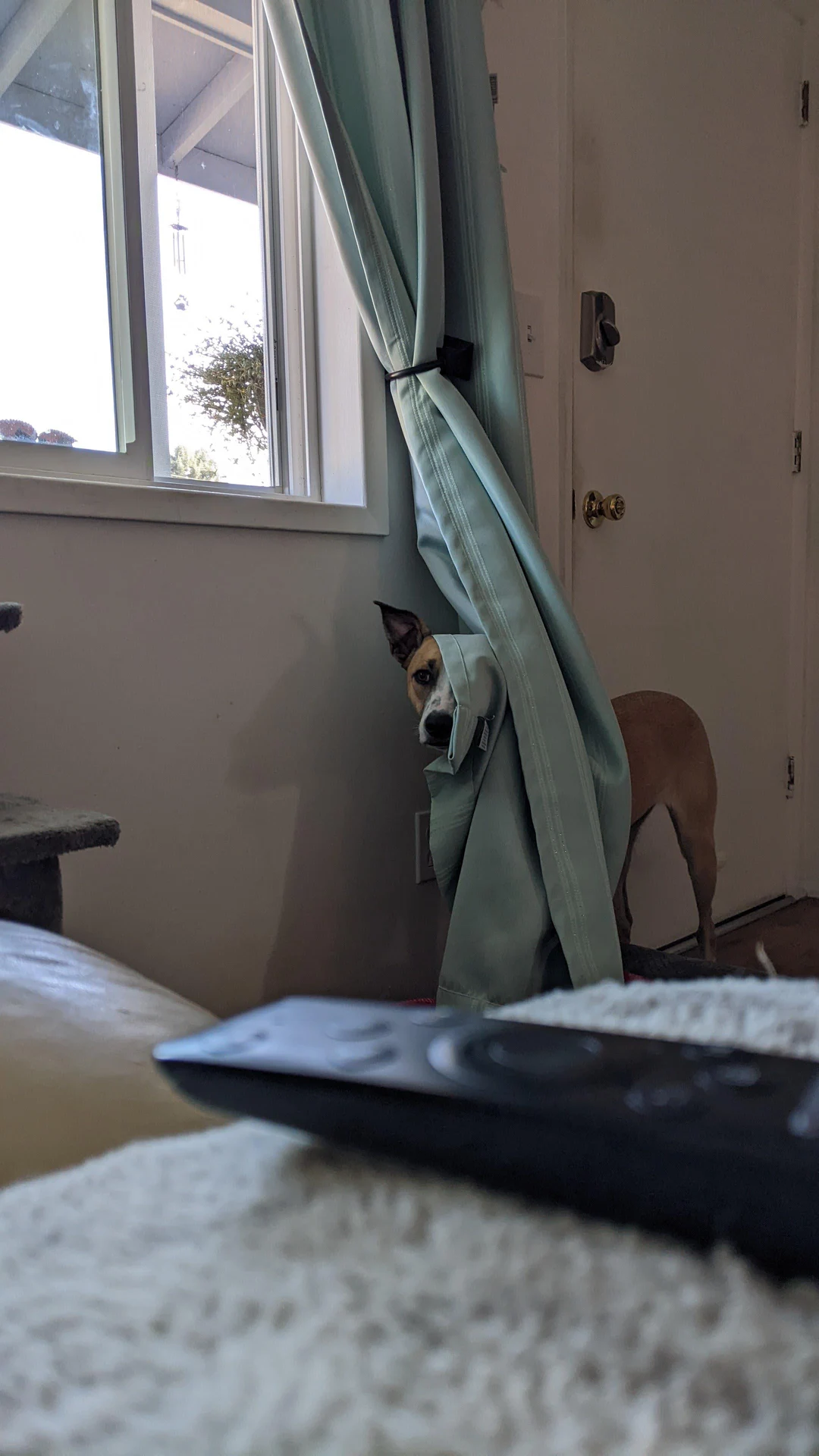 Hide and seek expert level 3 | Scrolller