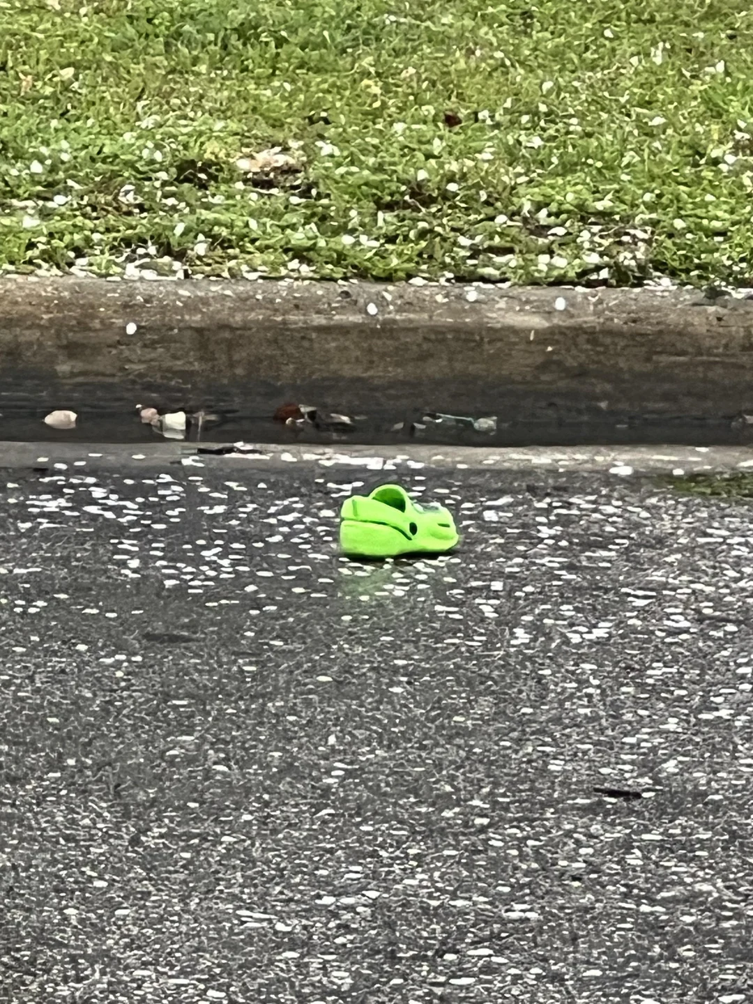 Saw a baby croc today | Scrolller