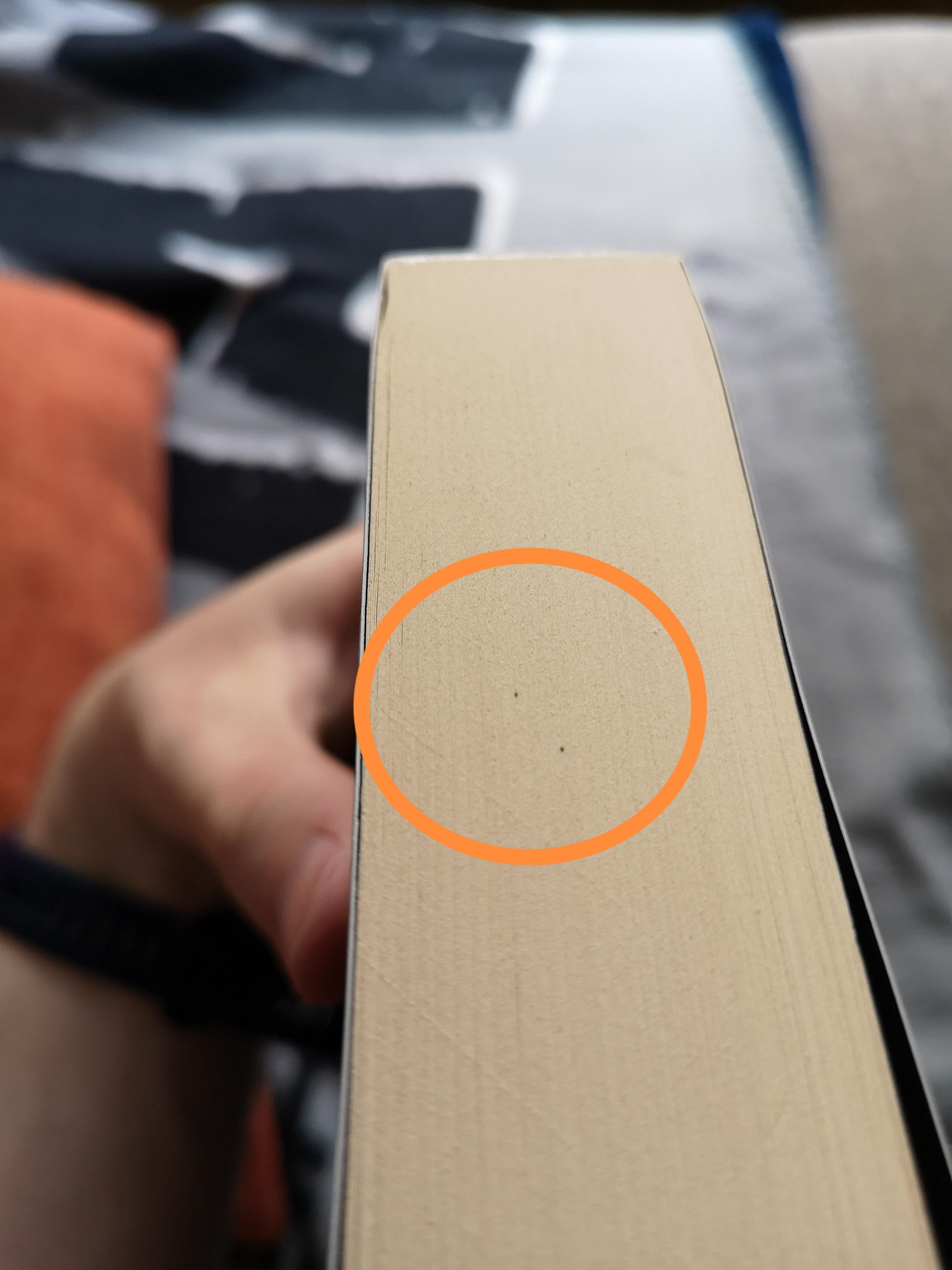 Fly droppings or mold? | Scrolller