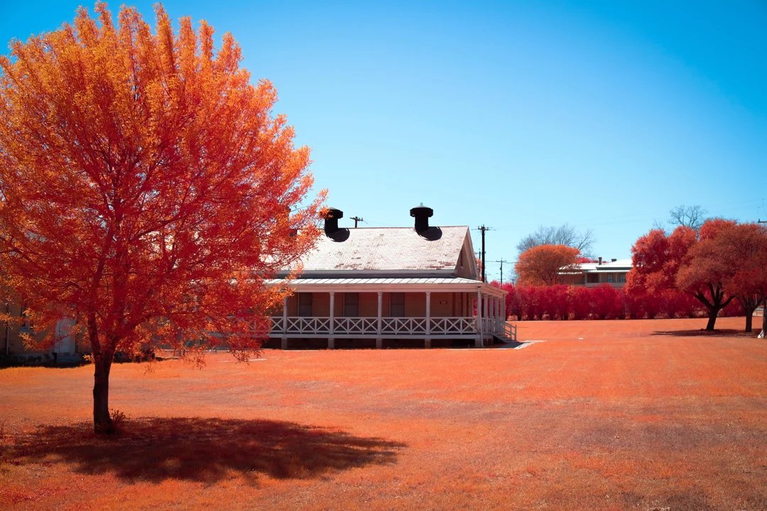 Loving the IR Chrome | Scrolller