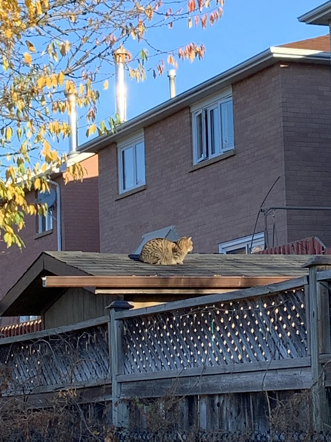 sweet cinnamon loaf | Scrolller