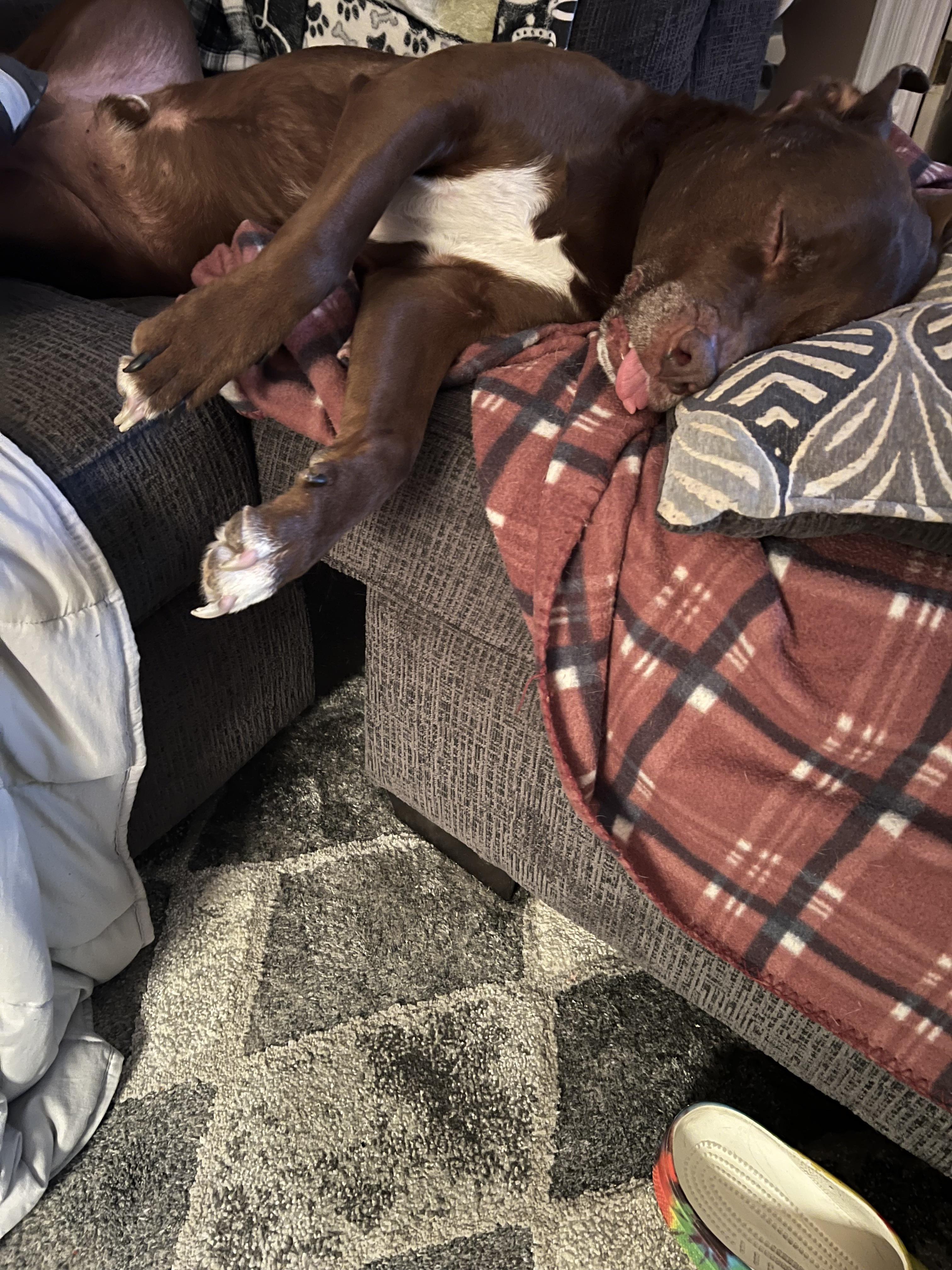 When my boy was in a food coma a few months ago | Scrolller