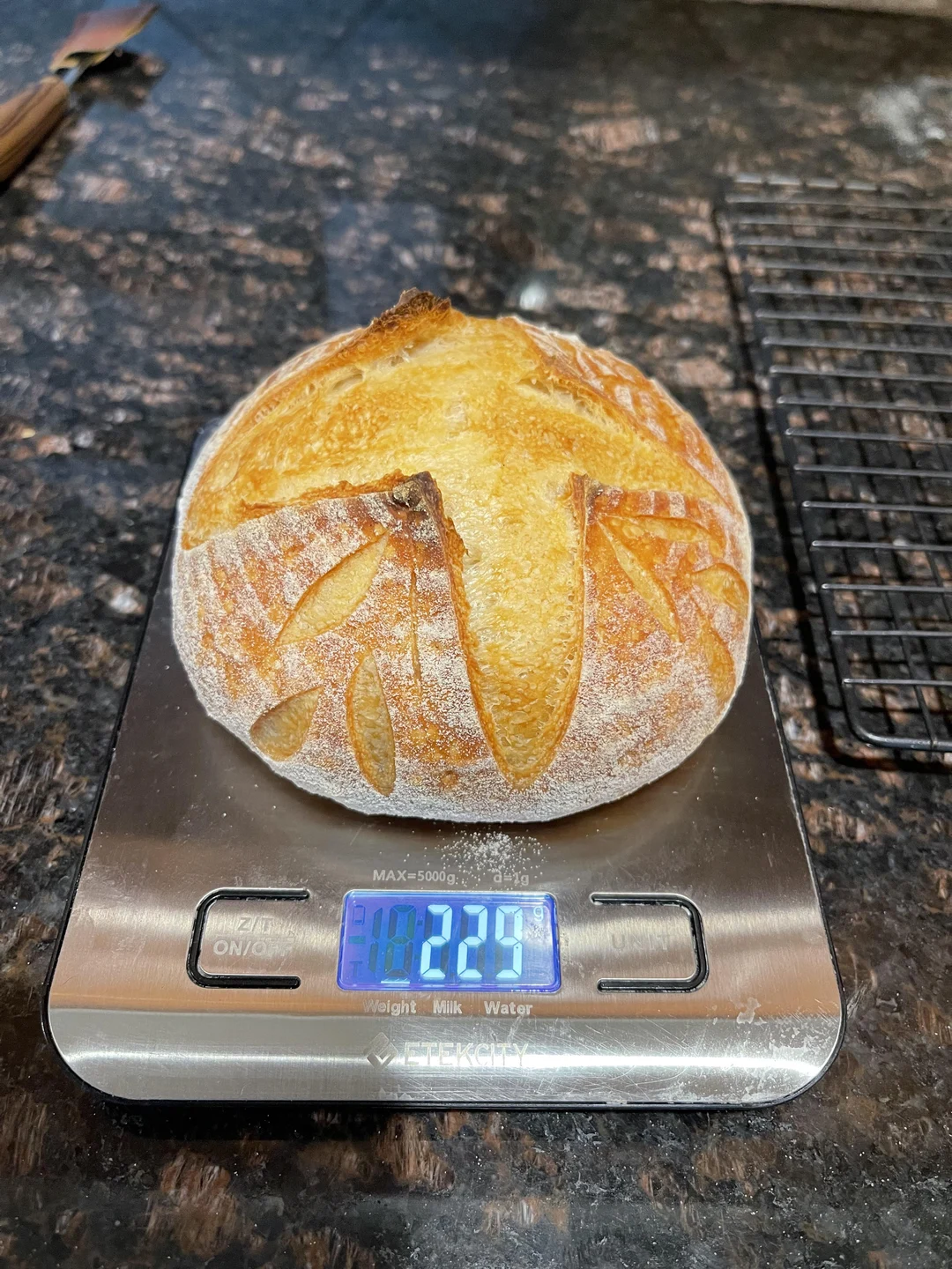 Accidentally made two really big loaves — which just means it’s bonus tiny loaf time. | Scrolller