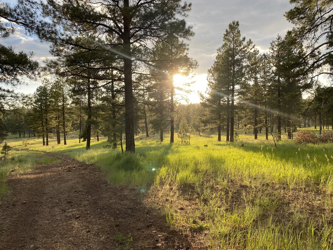 Flagstaff is simply beautiful | Scrolller