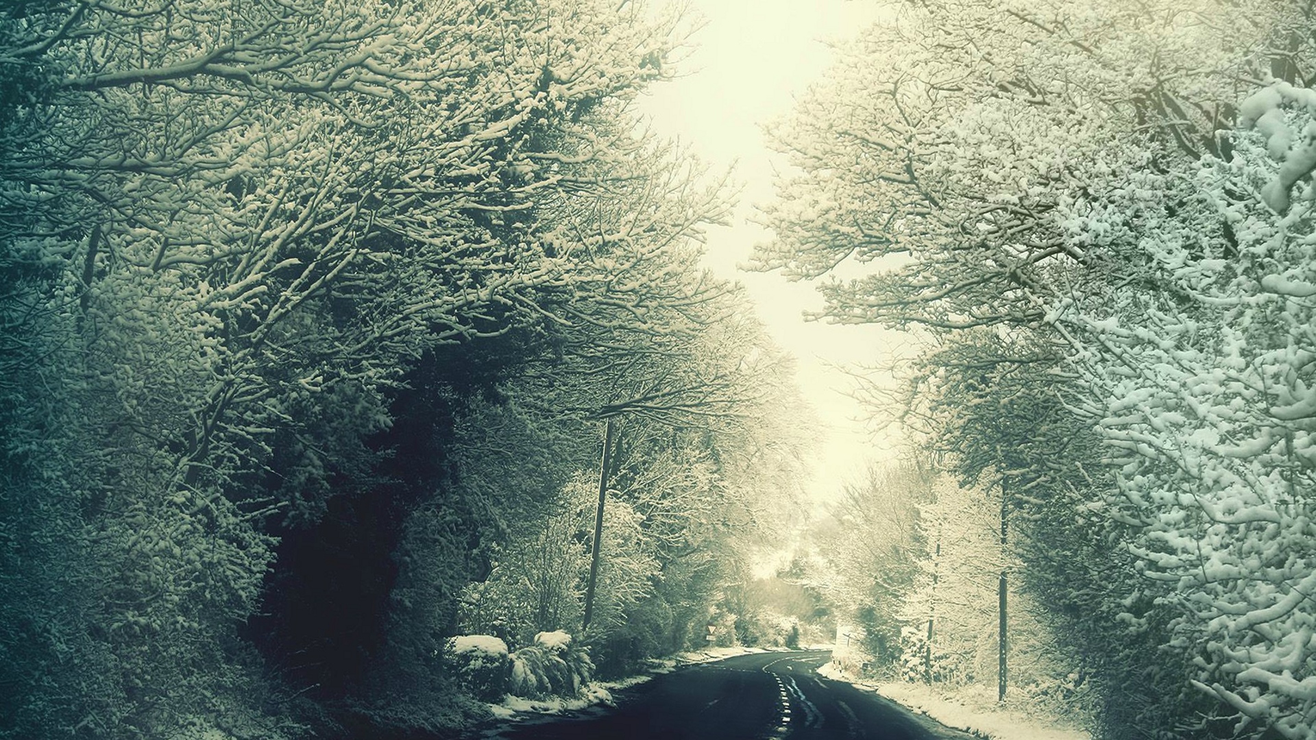 Winter [1920x1080] | Scrolller