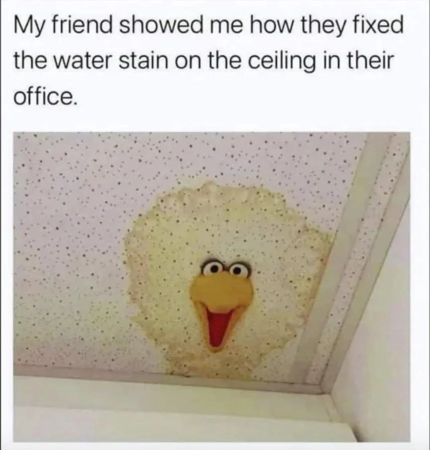 Ahh yes, the ol' landlord special | Scrolller