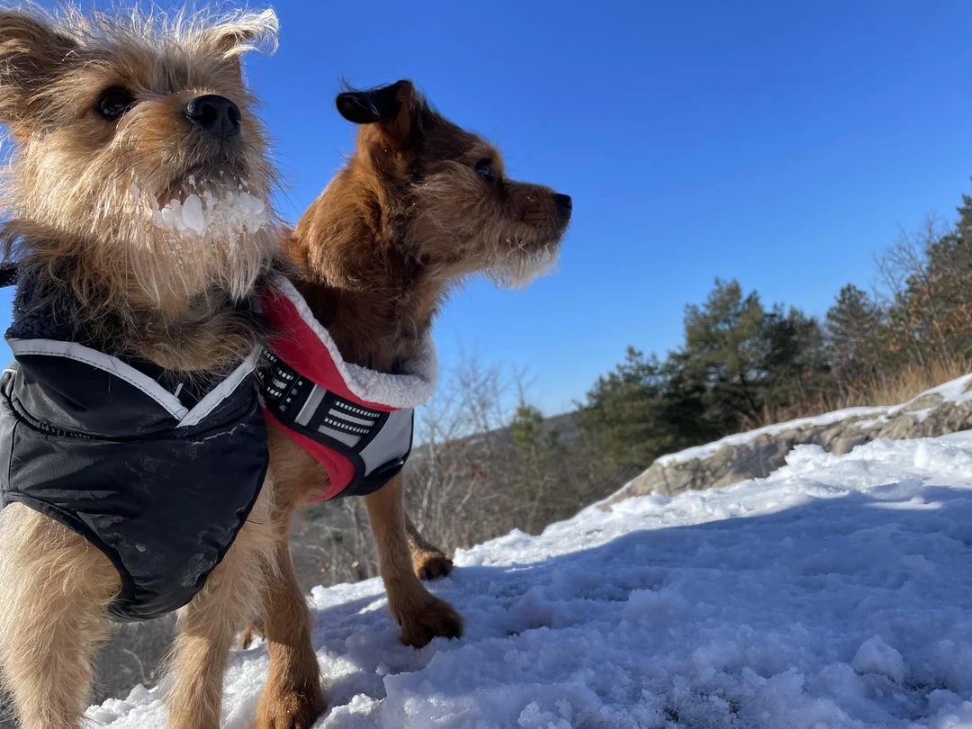 Name this album | Scrolller