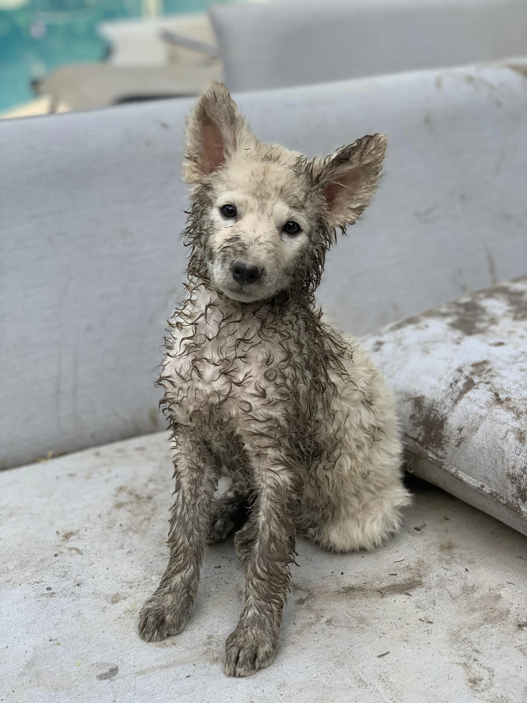 Seriously. Baths are pointless. | Scrolller