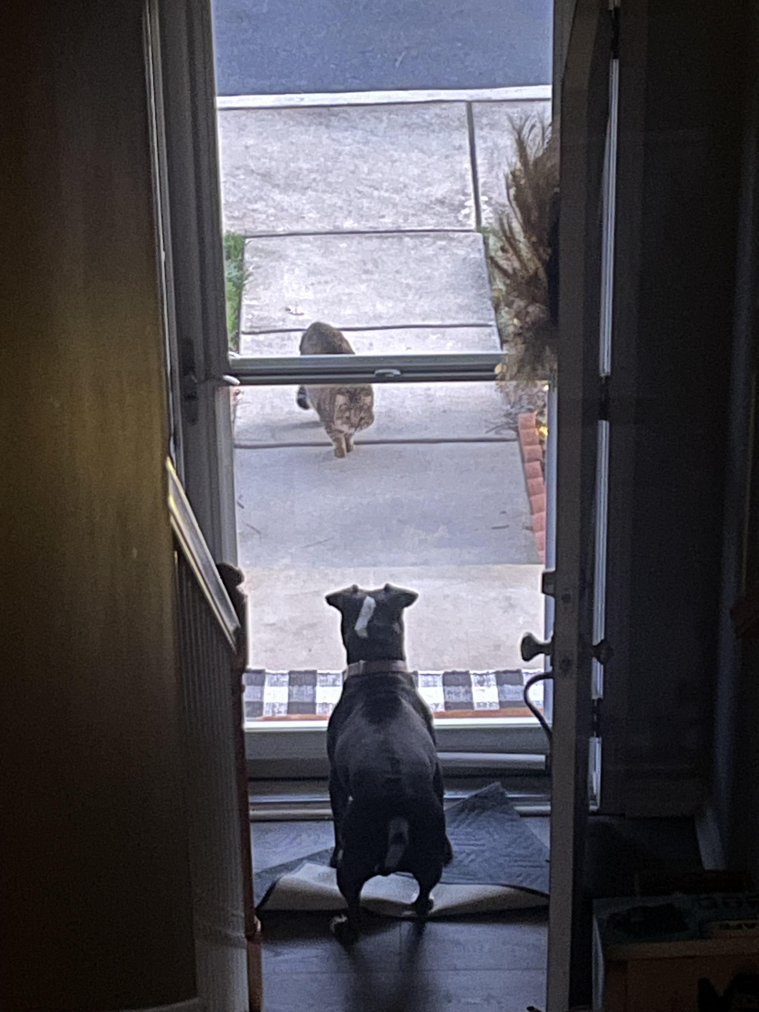 High noon | Scrolller