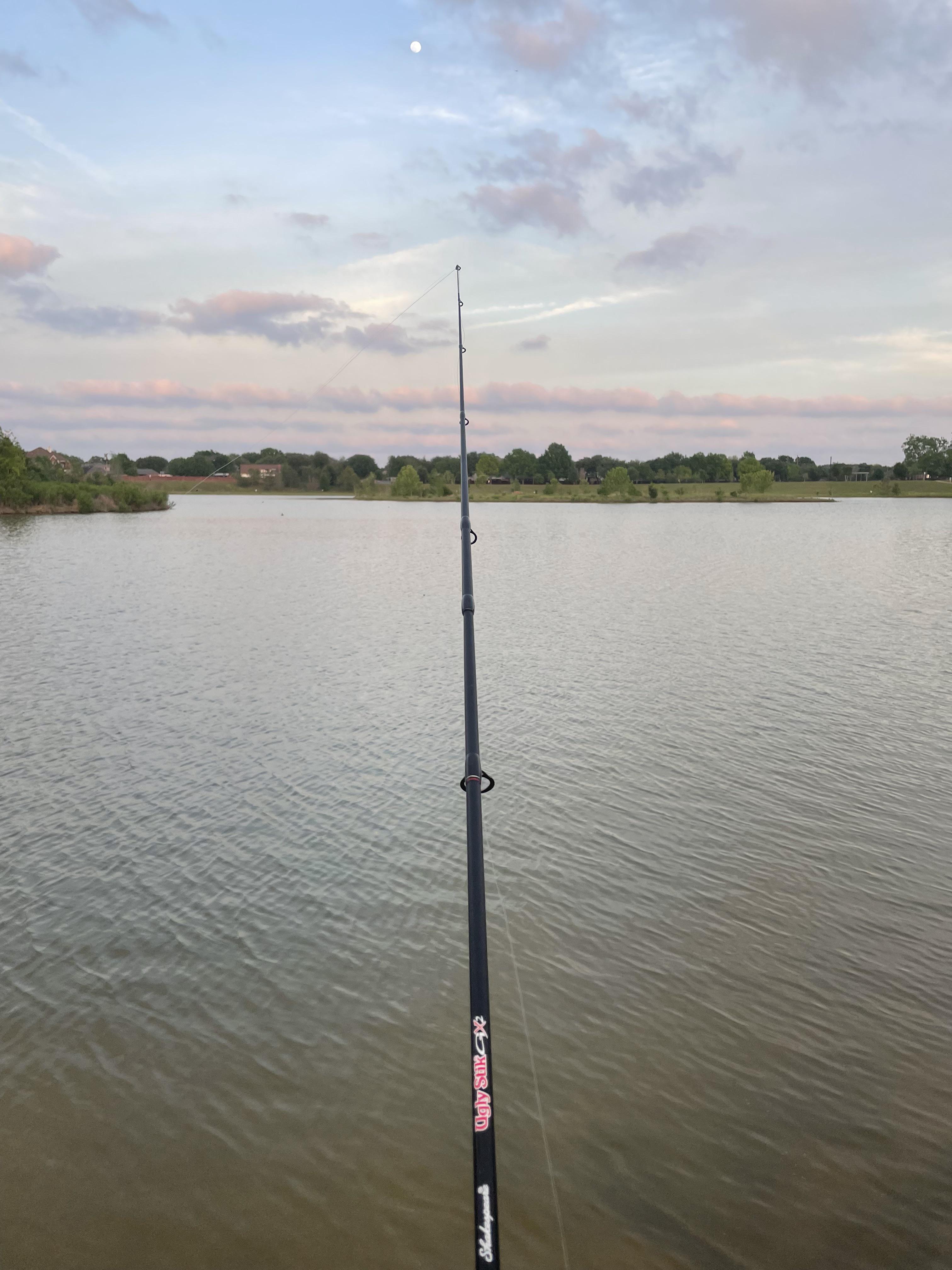 God I love Texas. | Scrolller