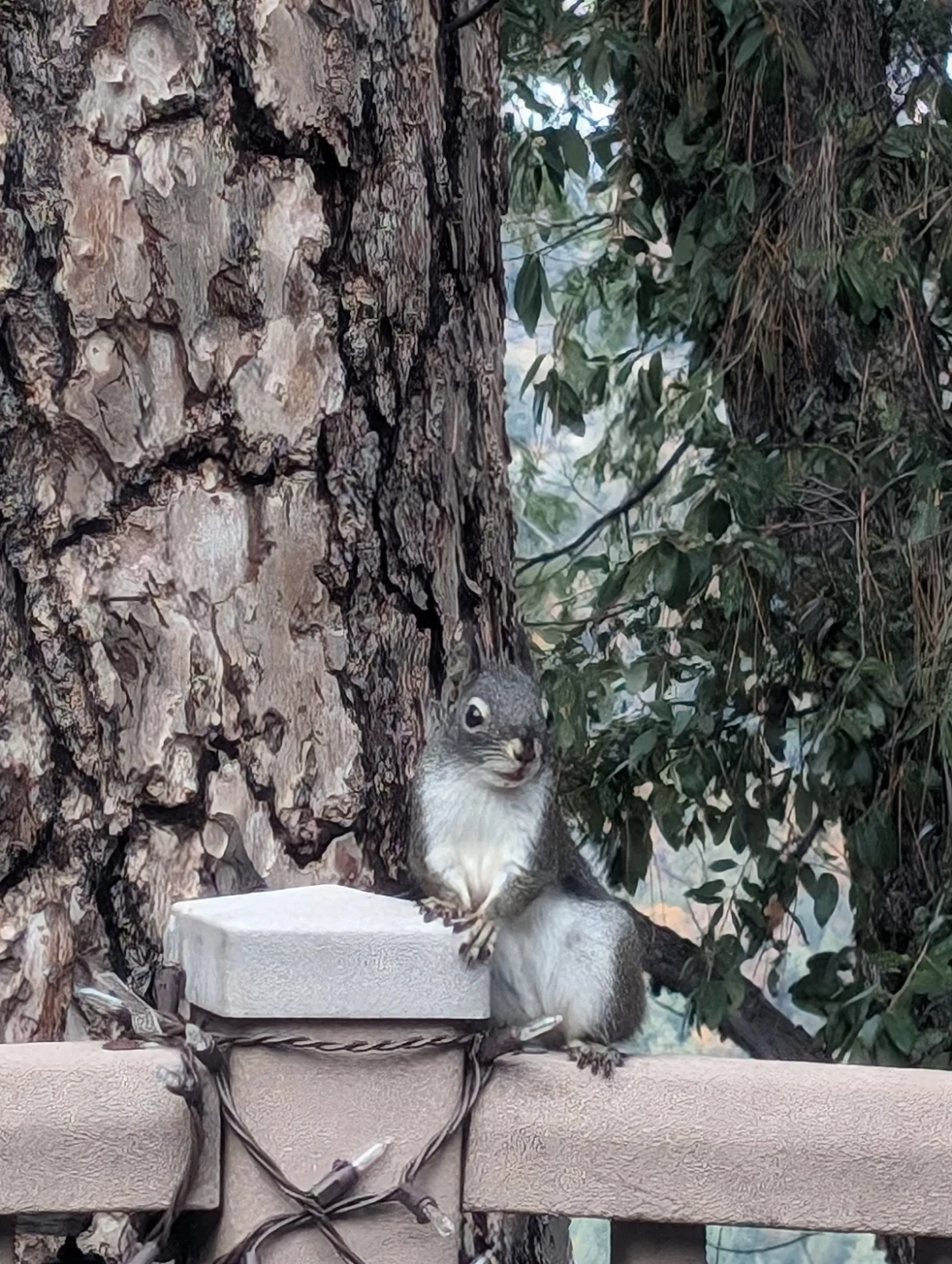 Strike a pose | Scrolller