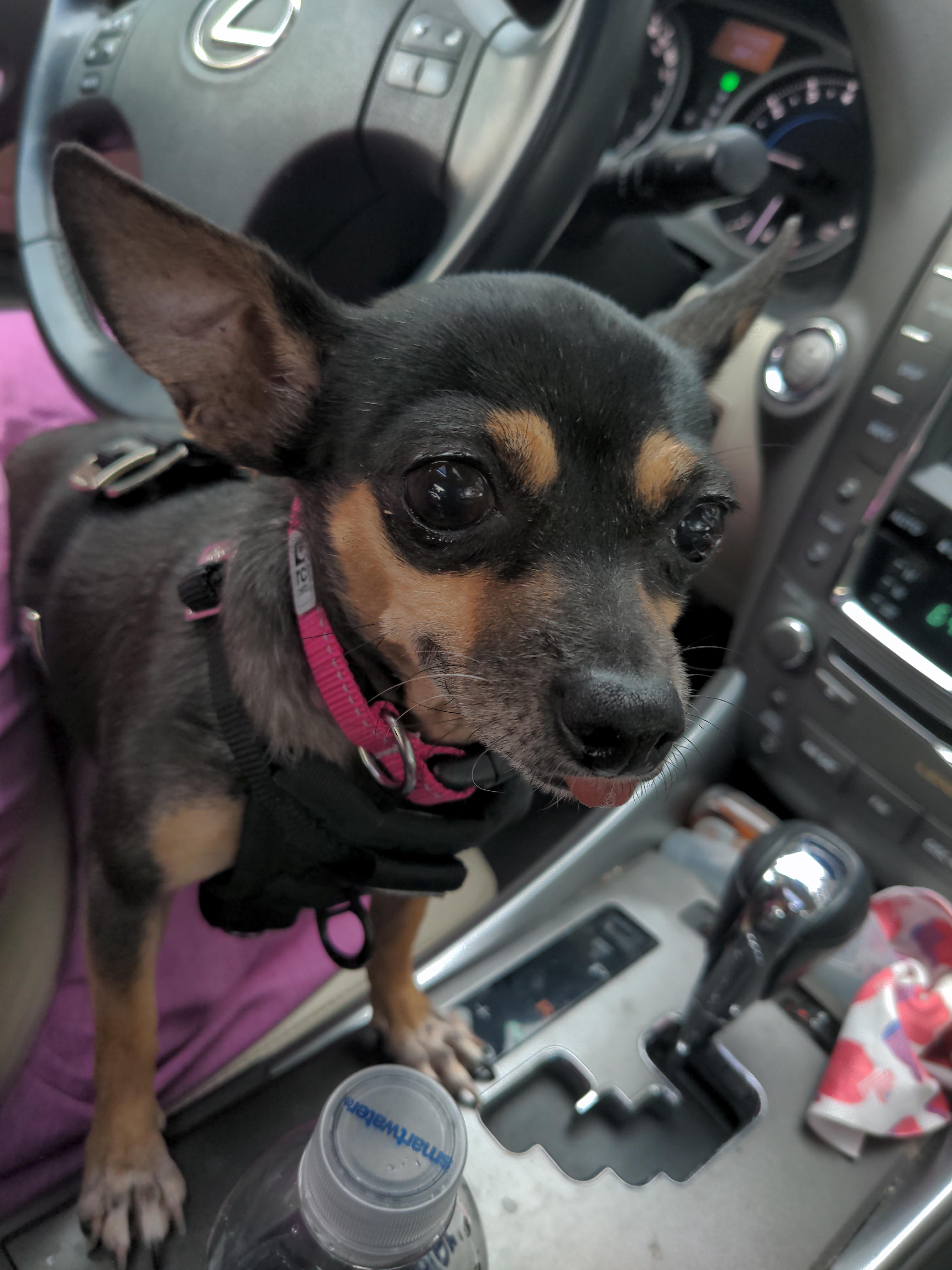 Help feeding? | Scrolller